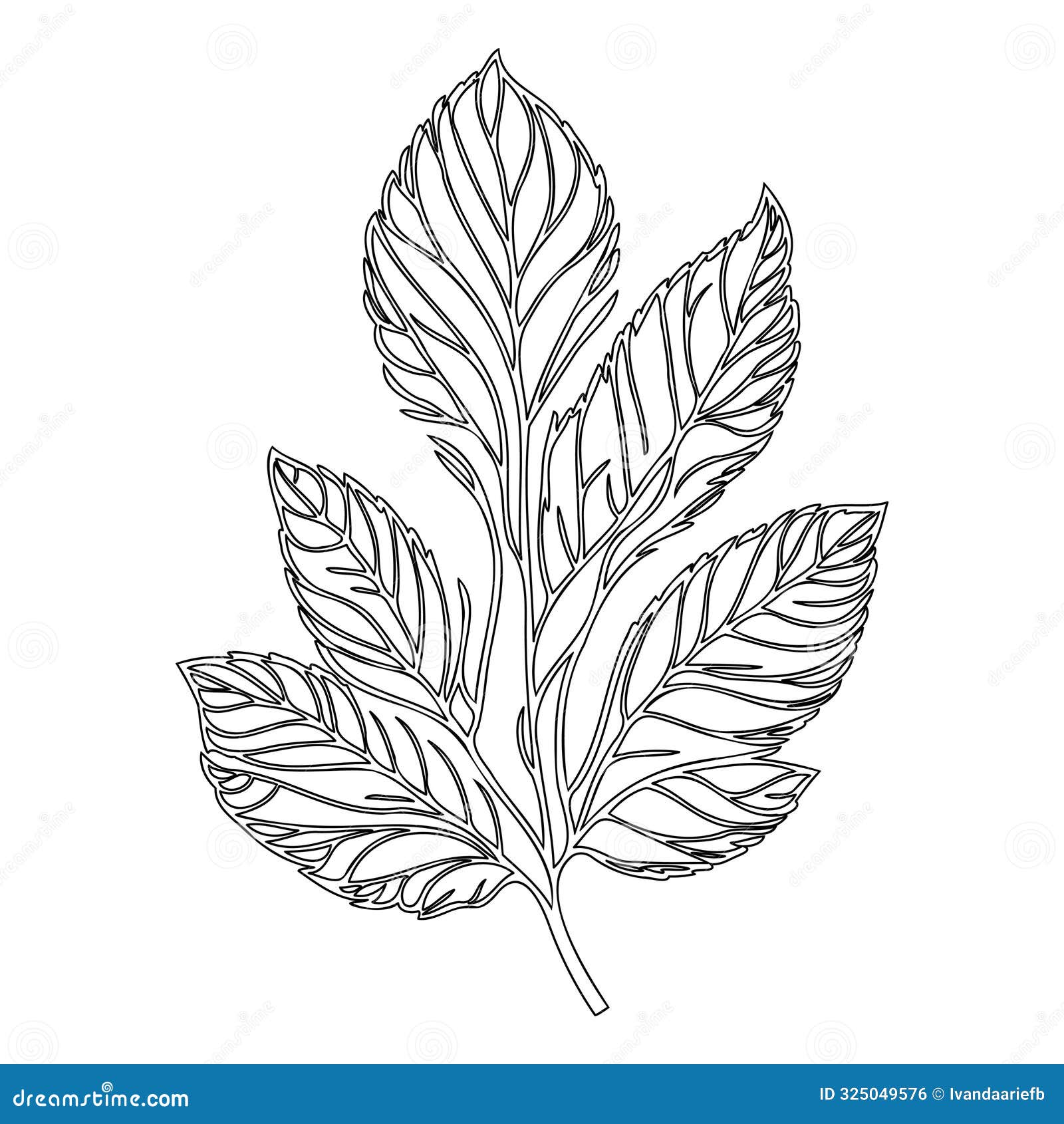 Chestnut Leaf Floral Outline Illustration Sketch Stock Vector ...