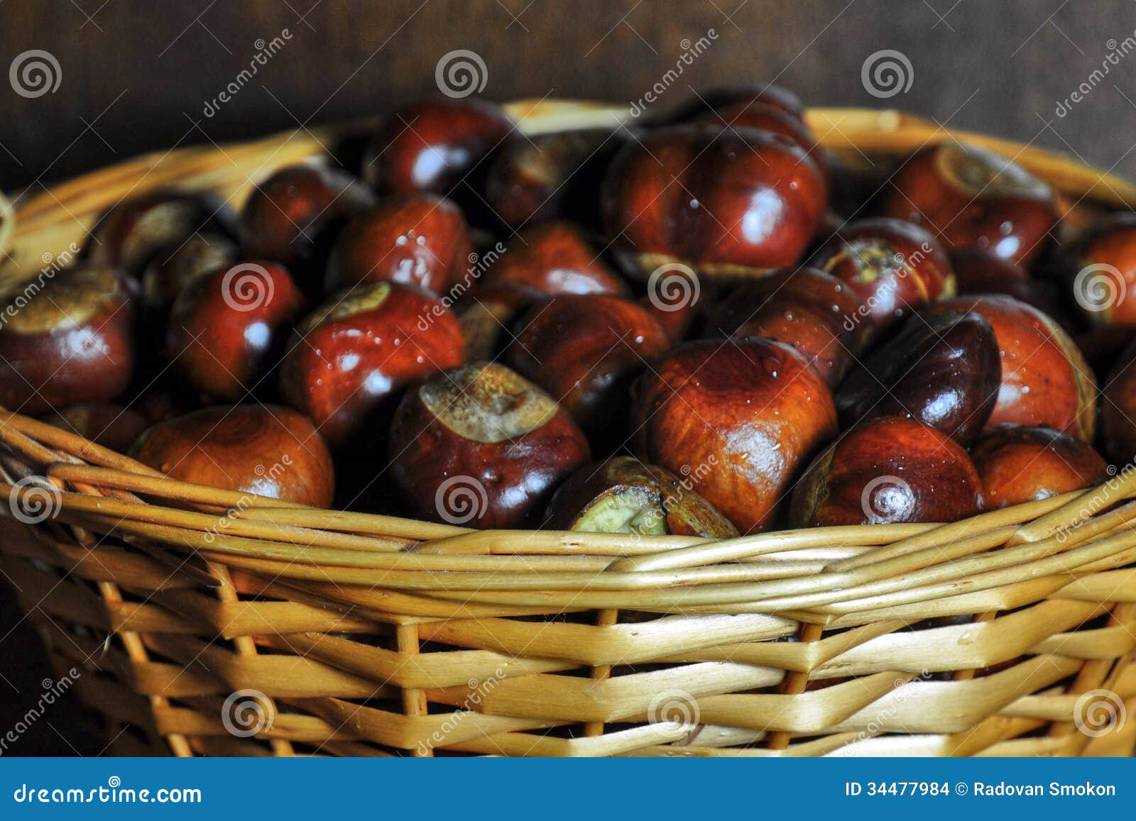 Chestnut stock photo. Image of healthy, maroni, eating - 34477984