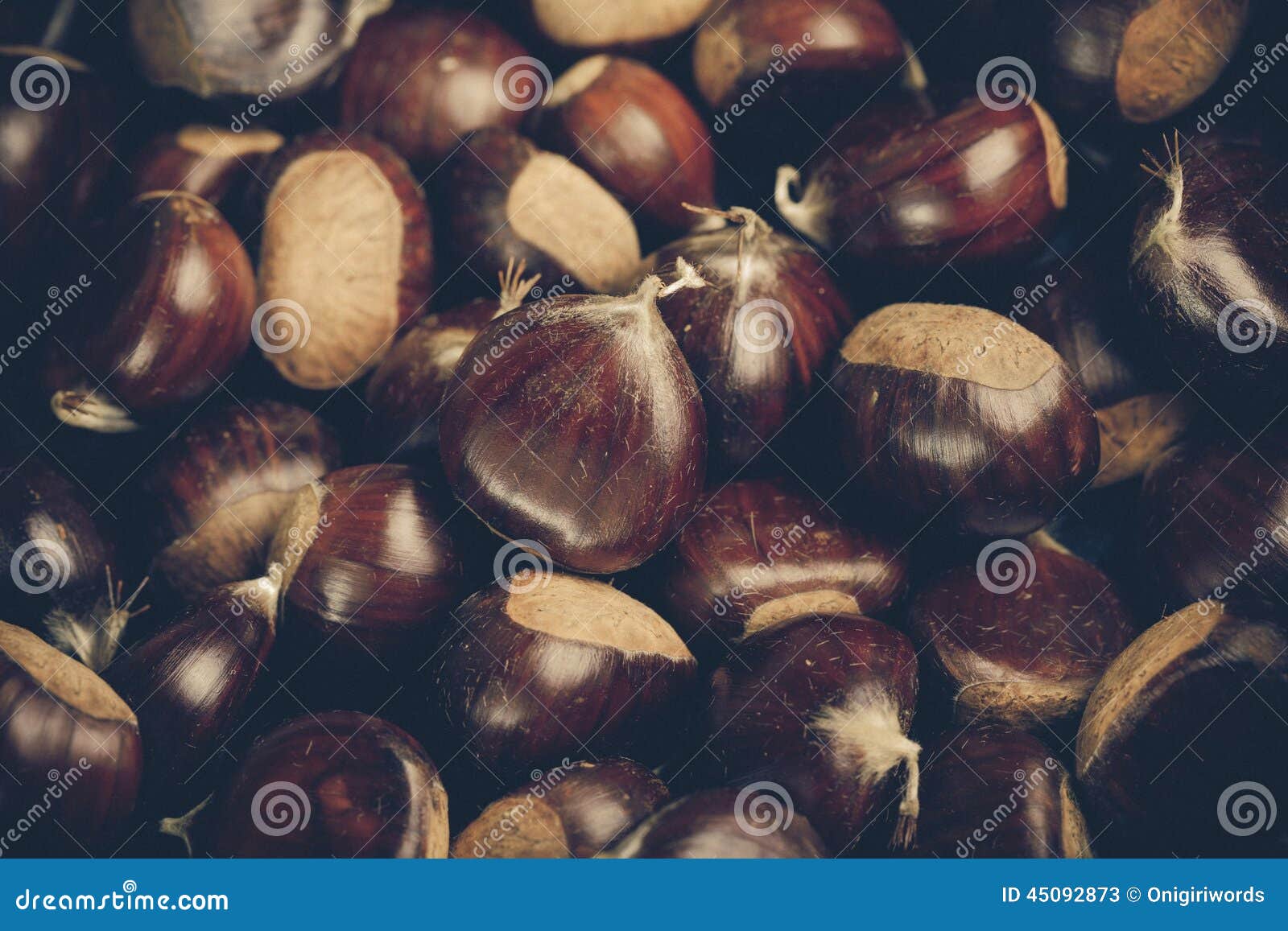 Chestnut stock image. Image of open, botanical, ingredient - 45092873
