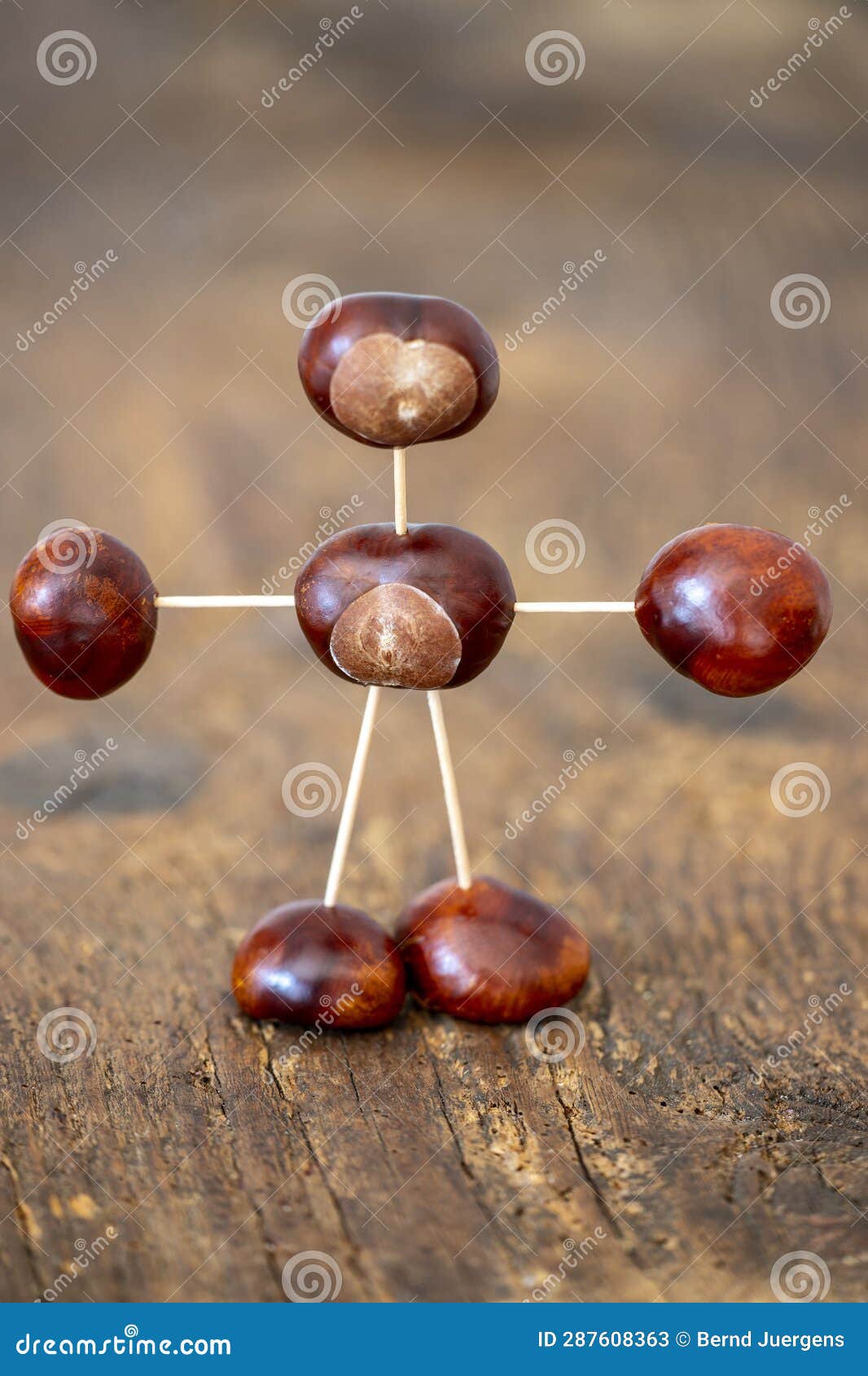 Chestnut man stock image. Image of background, toothpick - 287608363