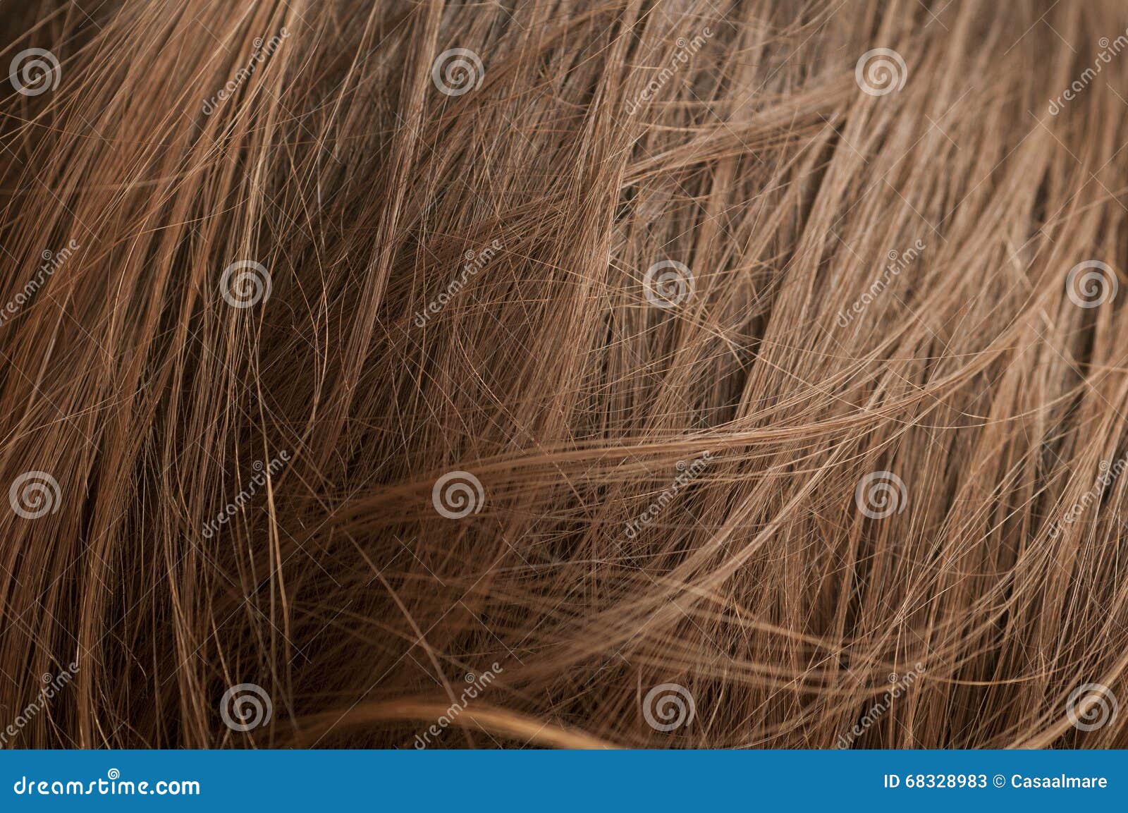 Chestnut natural hair stock image. Image of haircut, style - 68328983