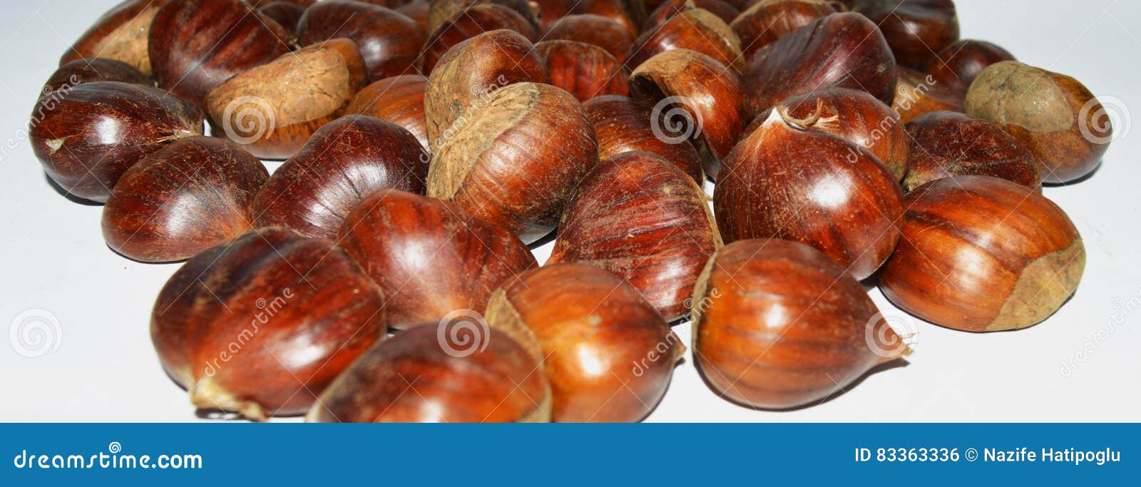 Chestnut Pictures for the Latest Natural Designs Stock Photo - Image of ...