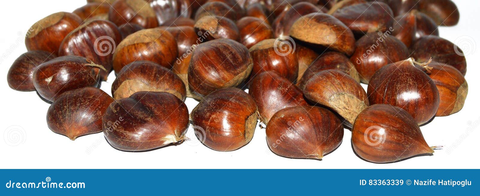 Chestnut Pictures for the Latest Natural Designs Stock Image - Image of ...