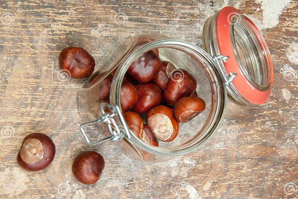 Chestnut in the pot stock image. Image of delikatesse - 16515131