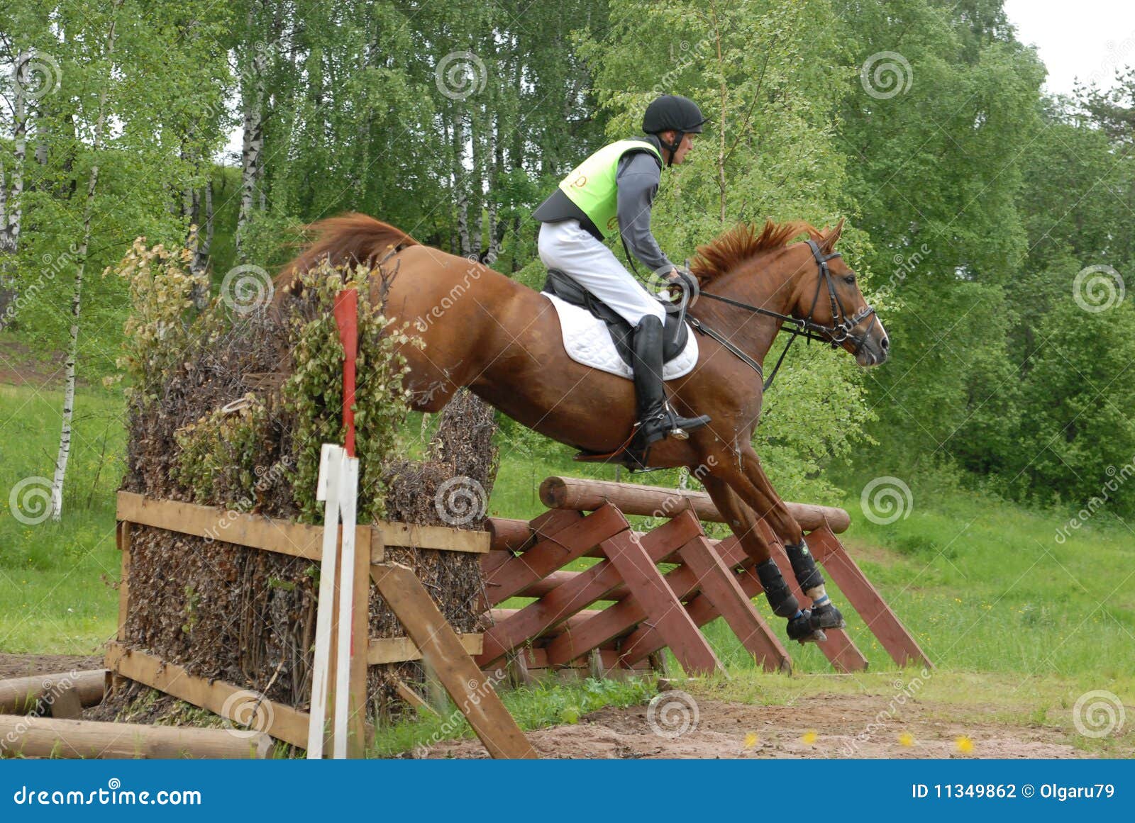 Chestnut red horse jumping editorial photography. Image of elegance ...