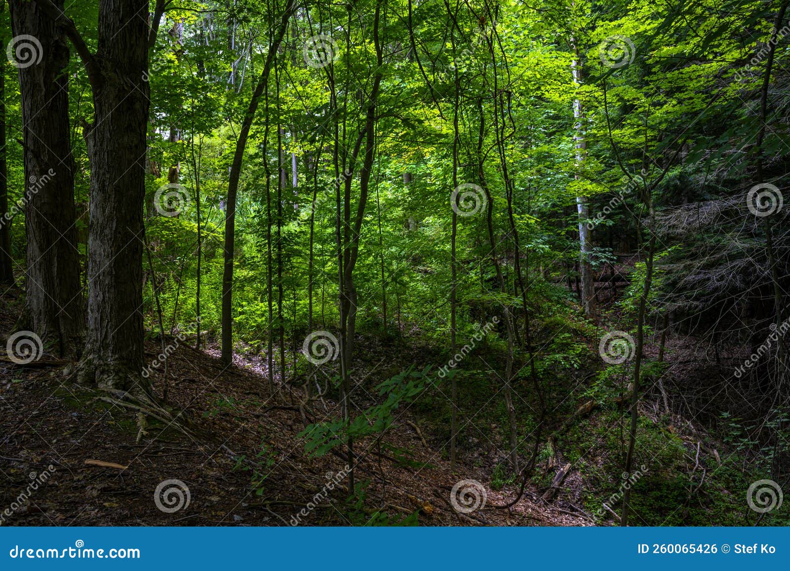 Chestnut Ridge Park Eternal Flame Falls Stock Photo - Image of lake ...