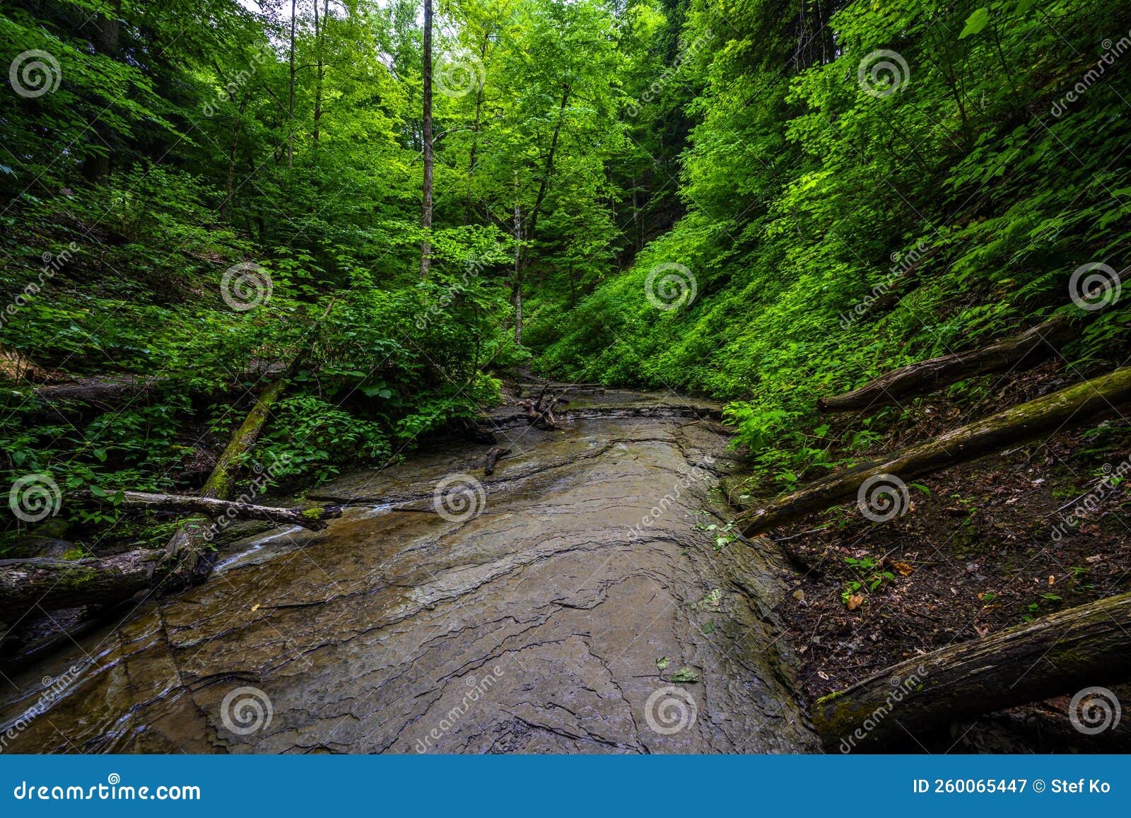 Chestnut Ridge Park Eternal Flame Falls Stock Image - Image of landmark ...