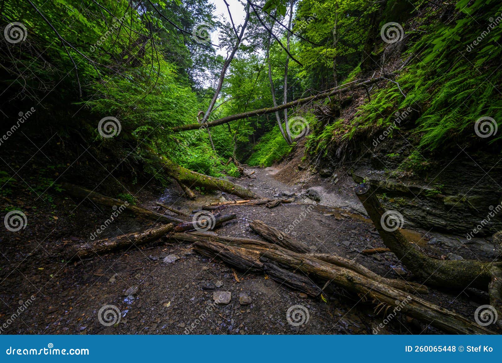 Chestnut Ridge Park Eternal Flame Falls Stock Photo - Image of river ...