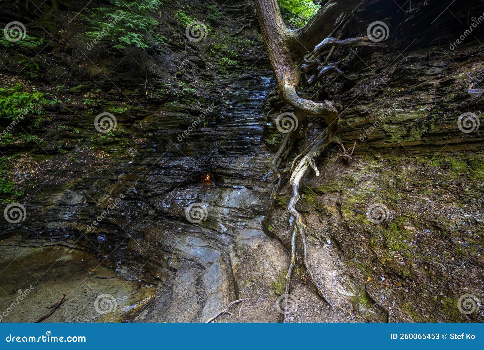 Chestnut Ridge Park Eternal Flame Falls Stock Image - Image of eternal ...