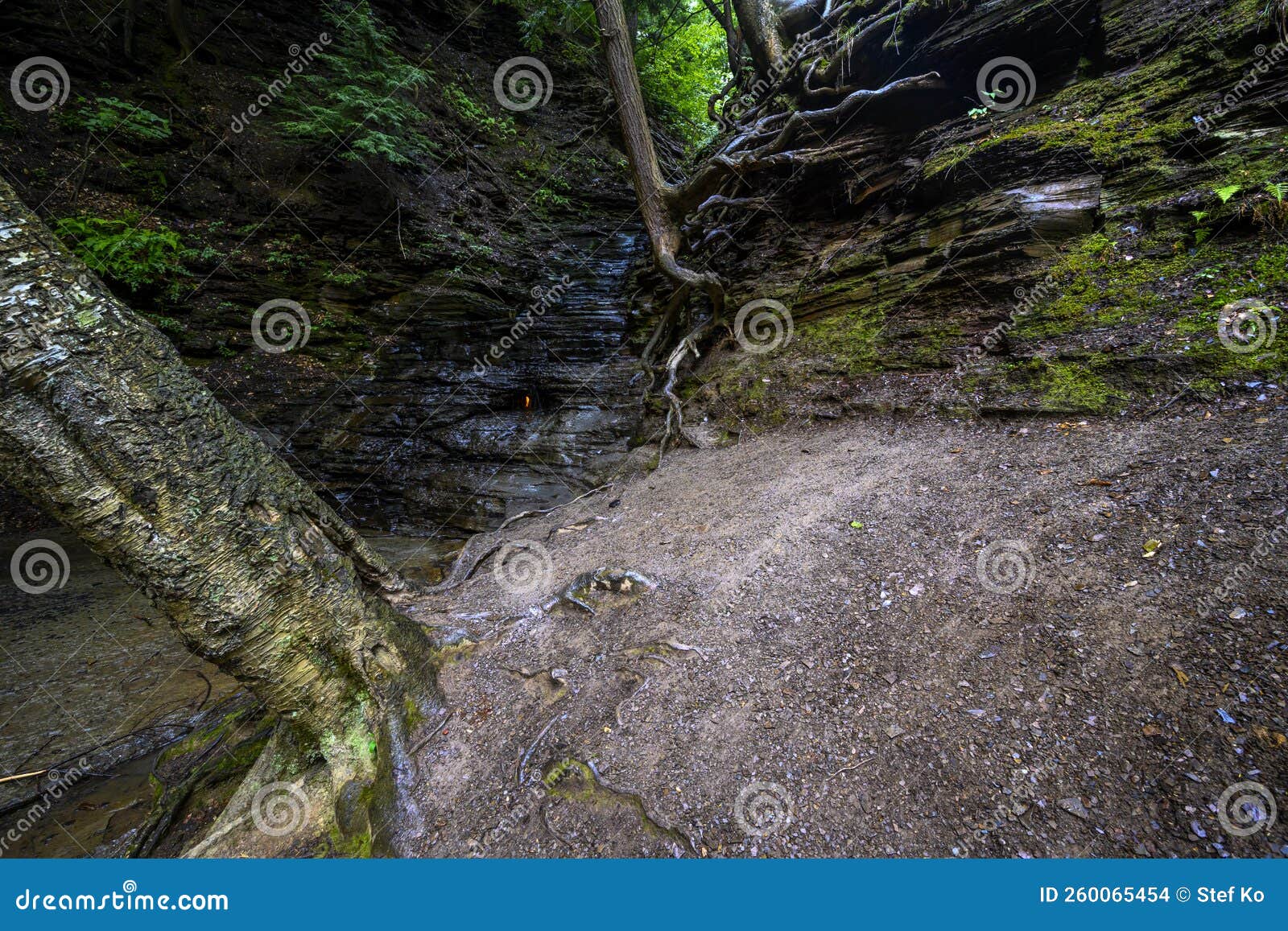 Chestnut Ridge Park Eternal Flame Falls Stock Photo - Image of hiking ...