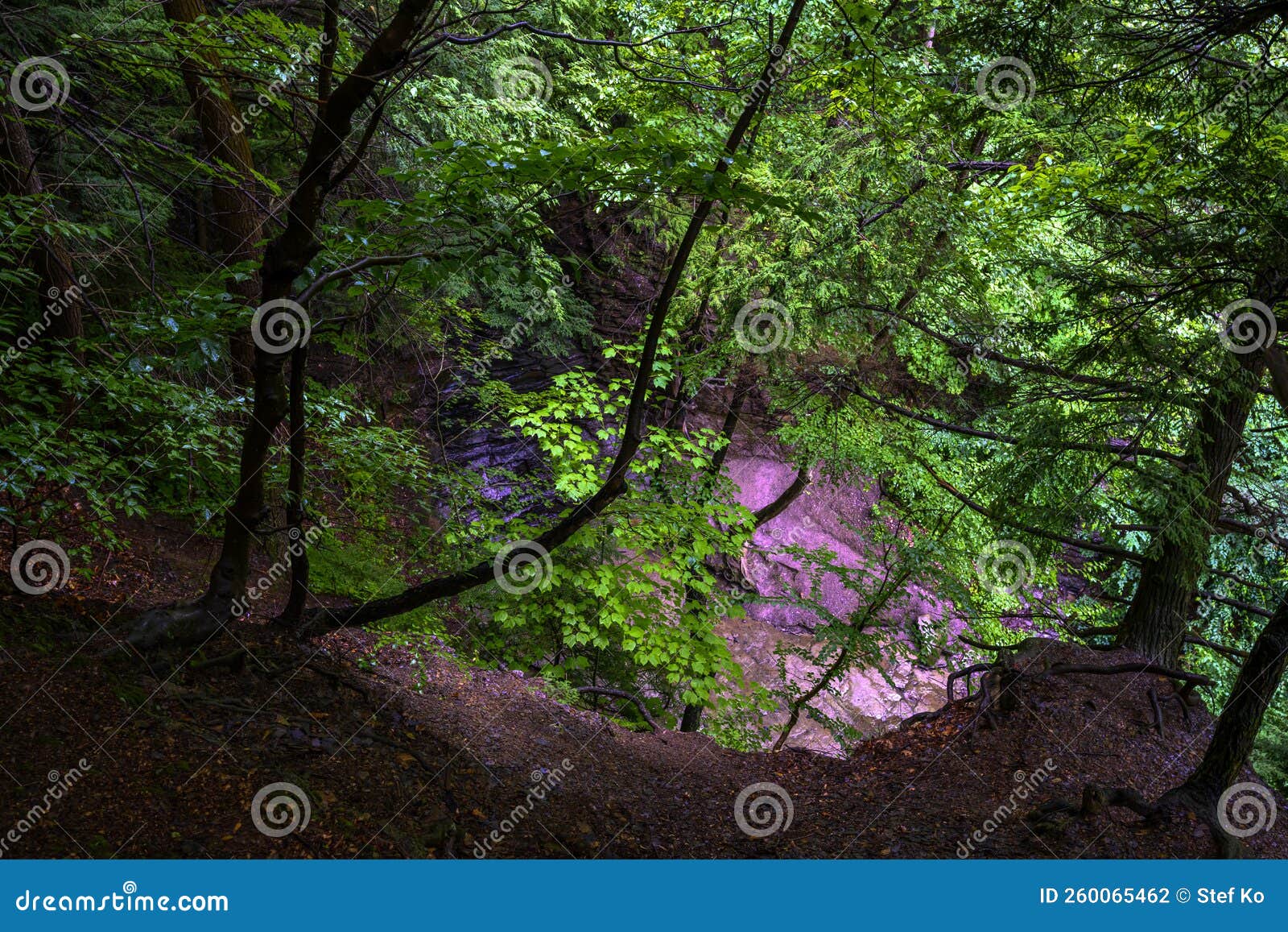 Chestnut Ridge Park Eternal Flame Falls Stock Photo - Image of national ...