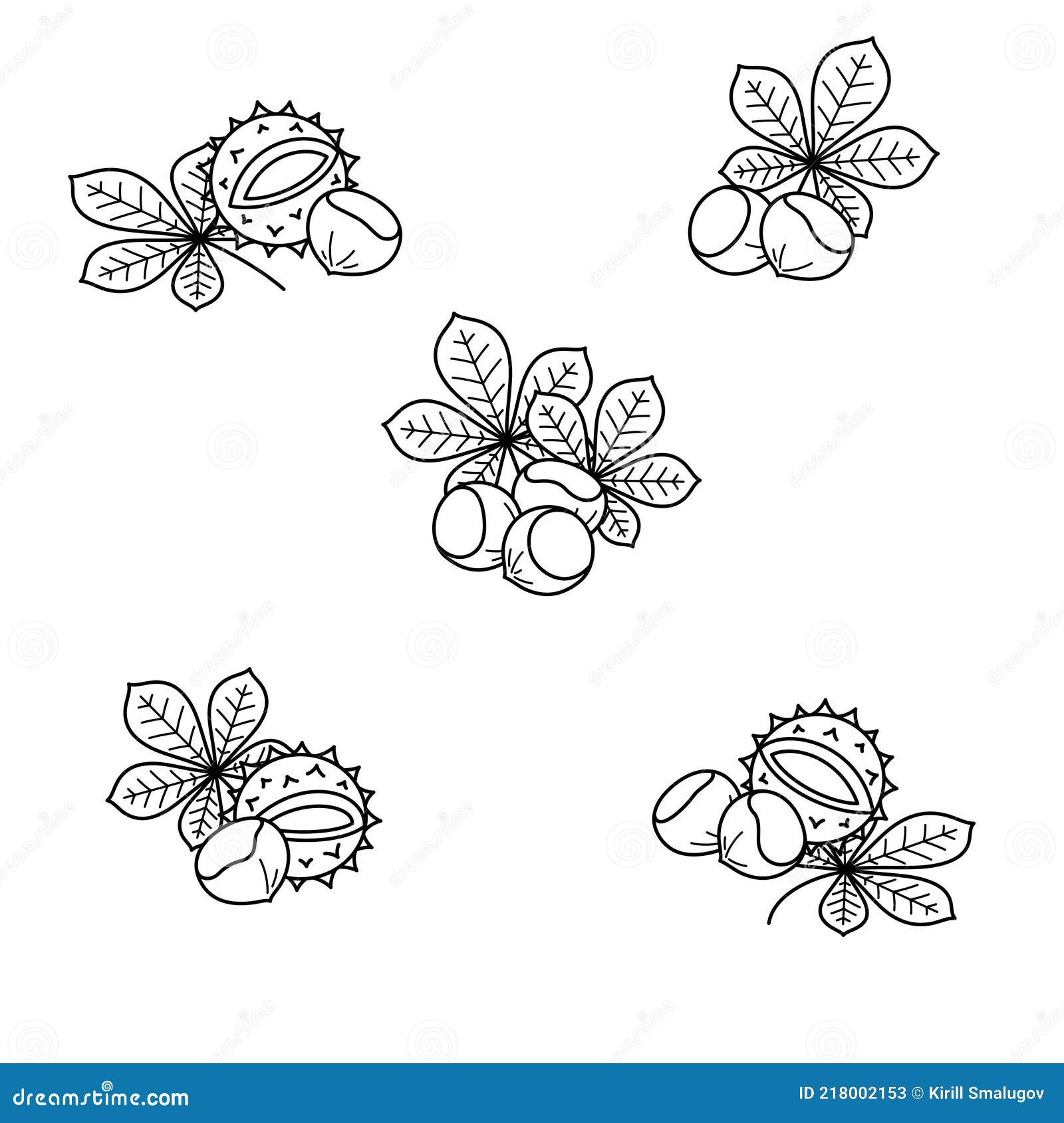 Chestnut Set. Collection Icon Chestnut Stock Vector - Illustration of ...