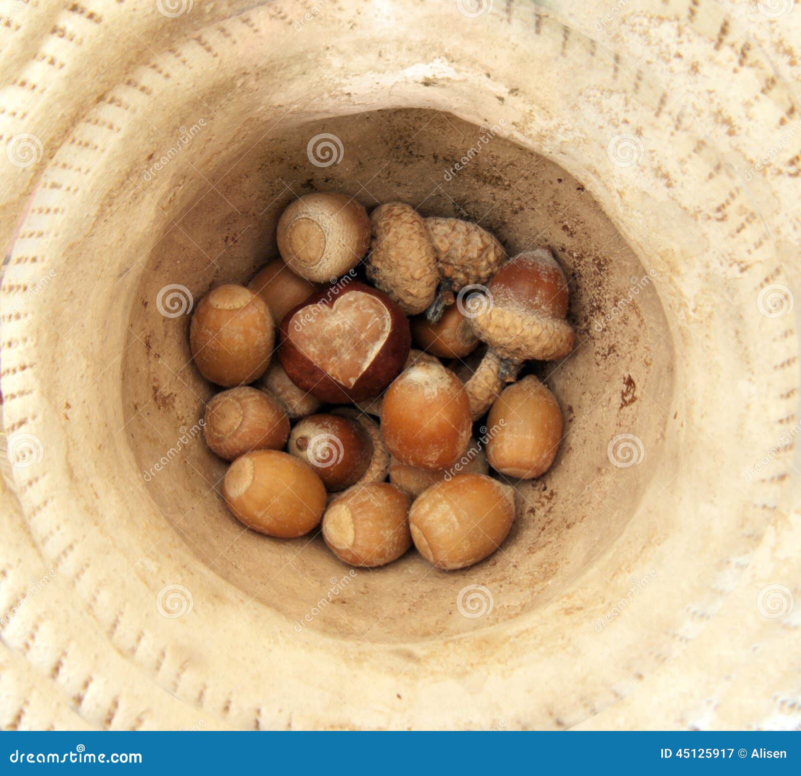 Chestnut in the Shape of Heart Stock Image - Image of chestnut, mellow ...