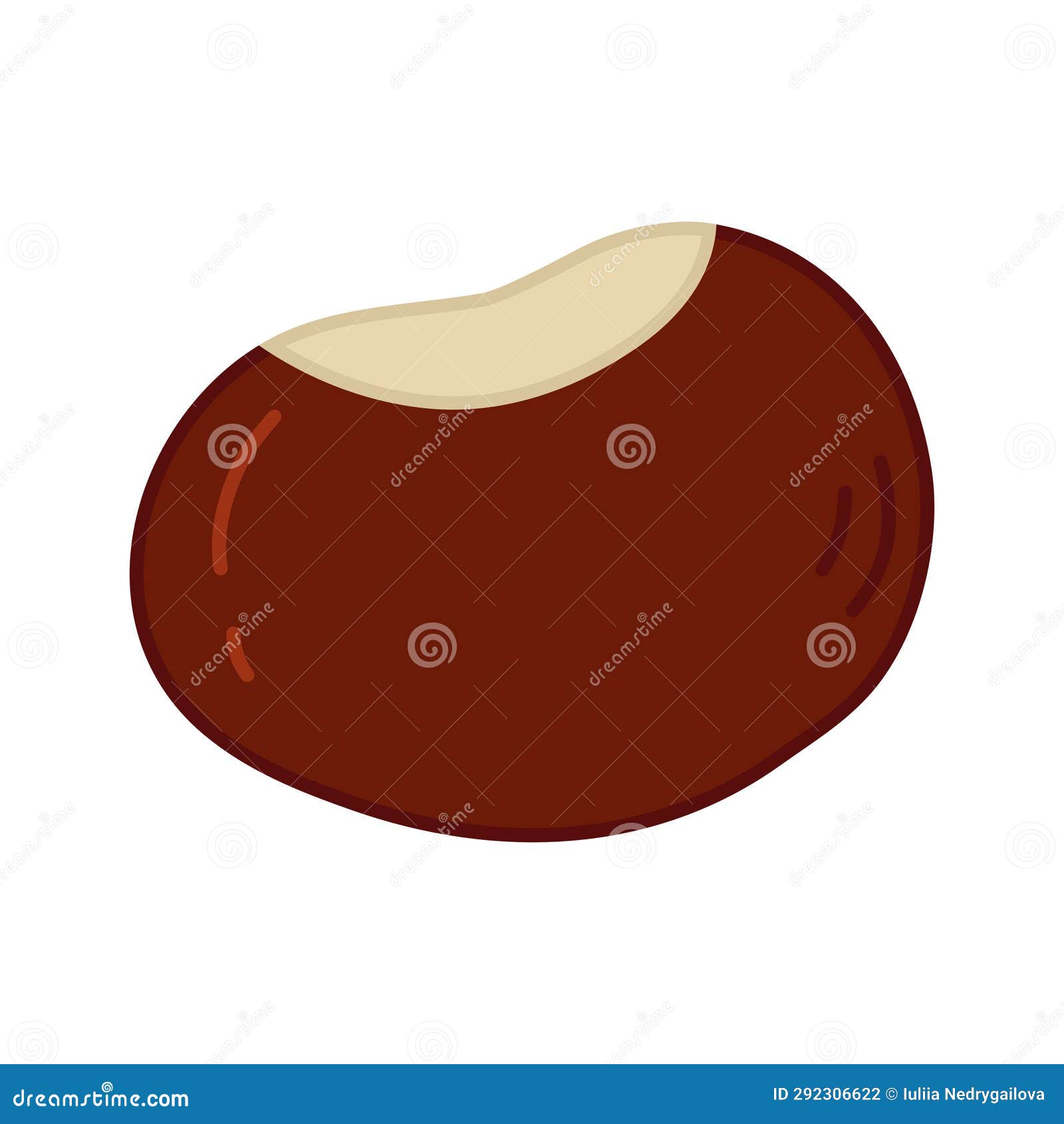 Chestnut without Shell, Autumn Design Element, Doodle Style Vector ...