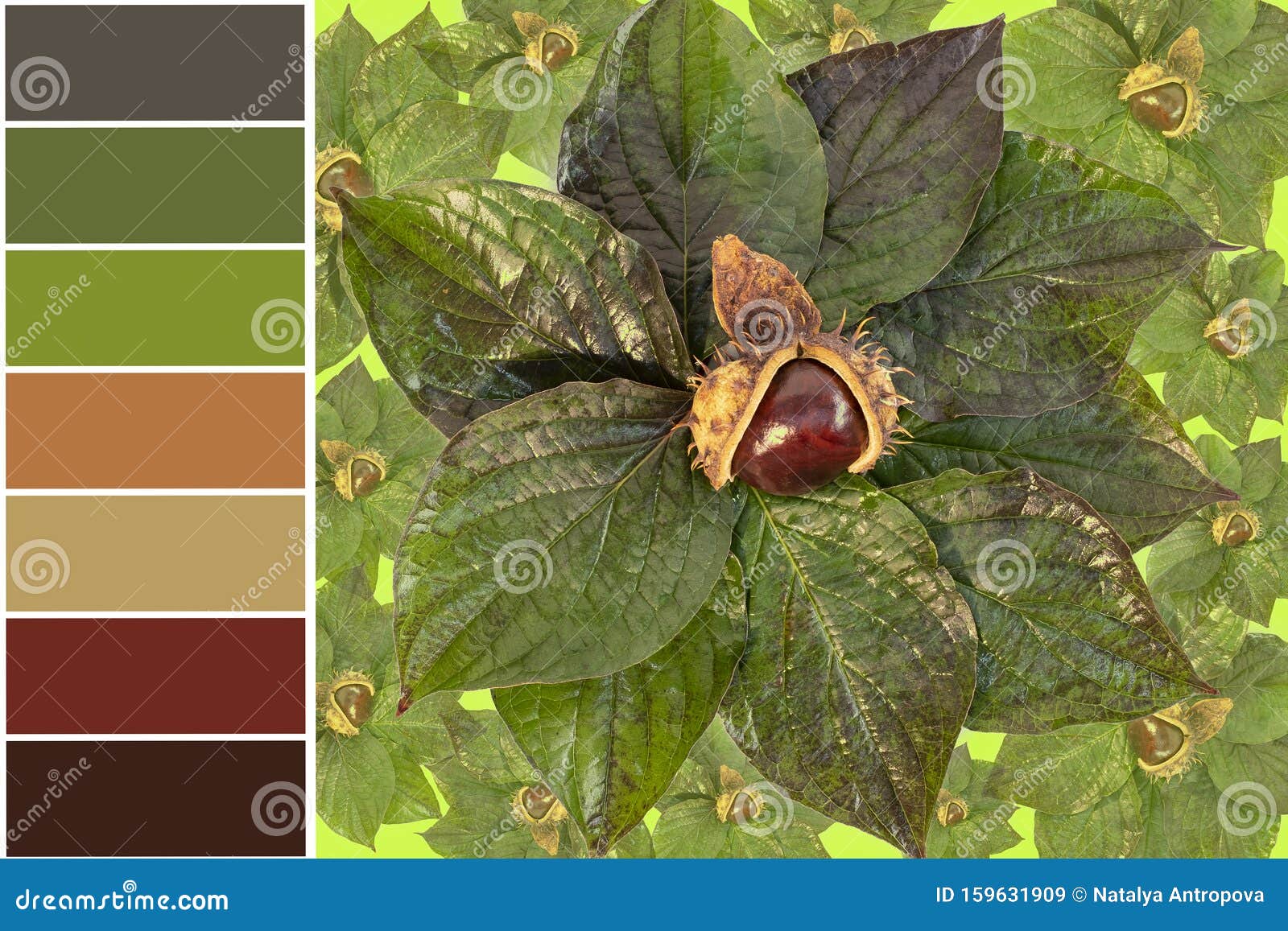 Chestnut Surrounded by Leaves, Top View and Palette of Color ...