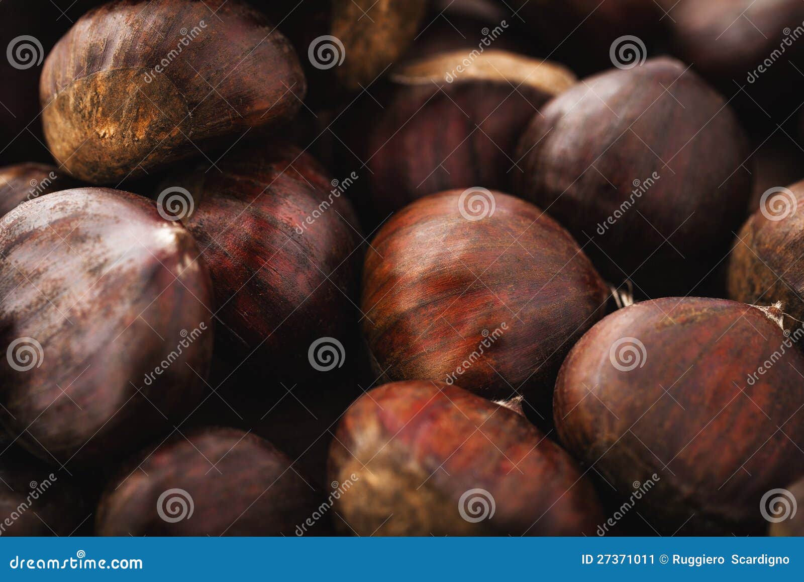 Chestnut texture macro stock image. Image of vegetarian - 27371011