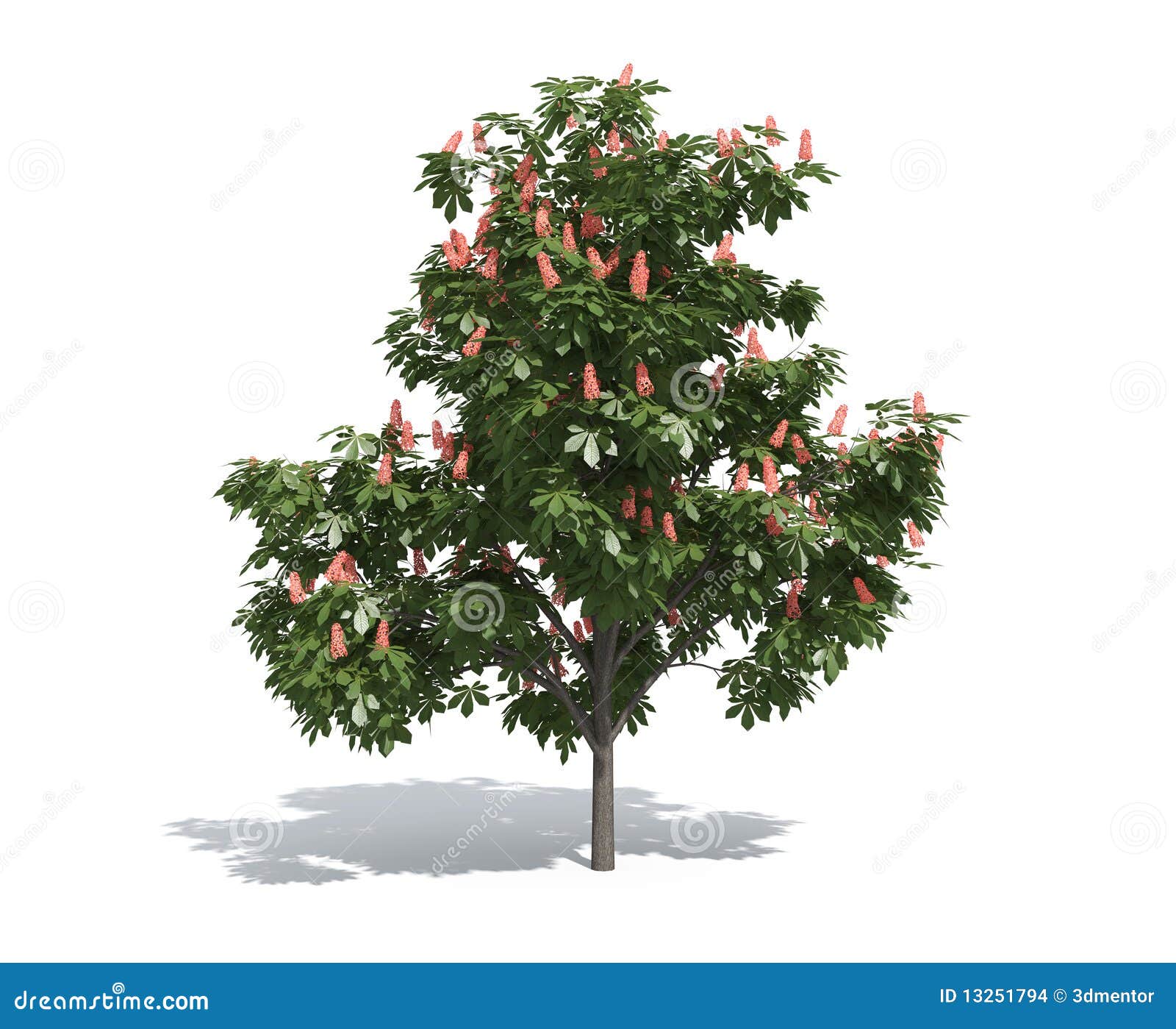 Chestnut Tree With Leaves And Butterflies Cartoon Vector ...