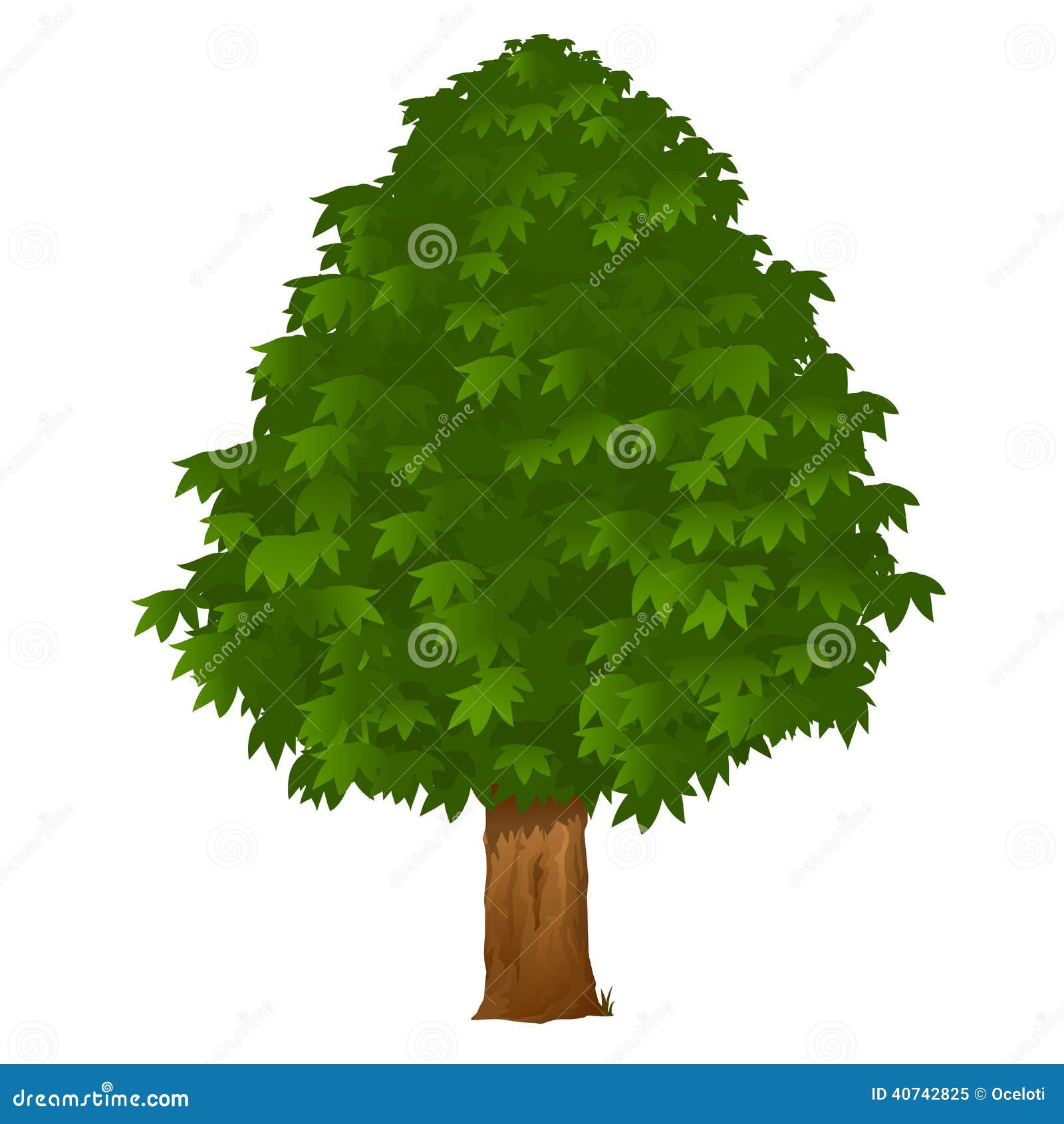 Chestnut tree stock vector. Illustration of trunk, shape - 40742825