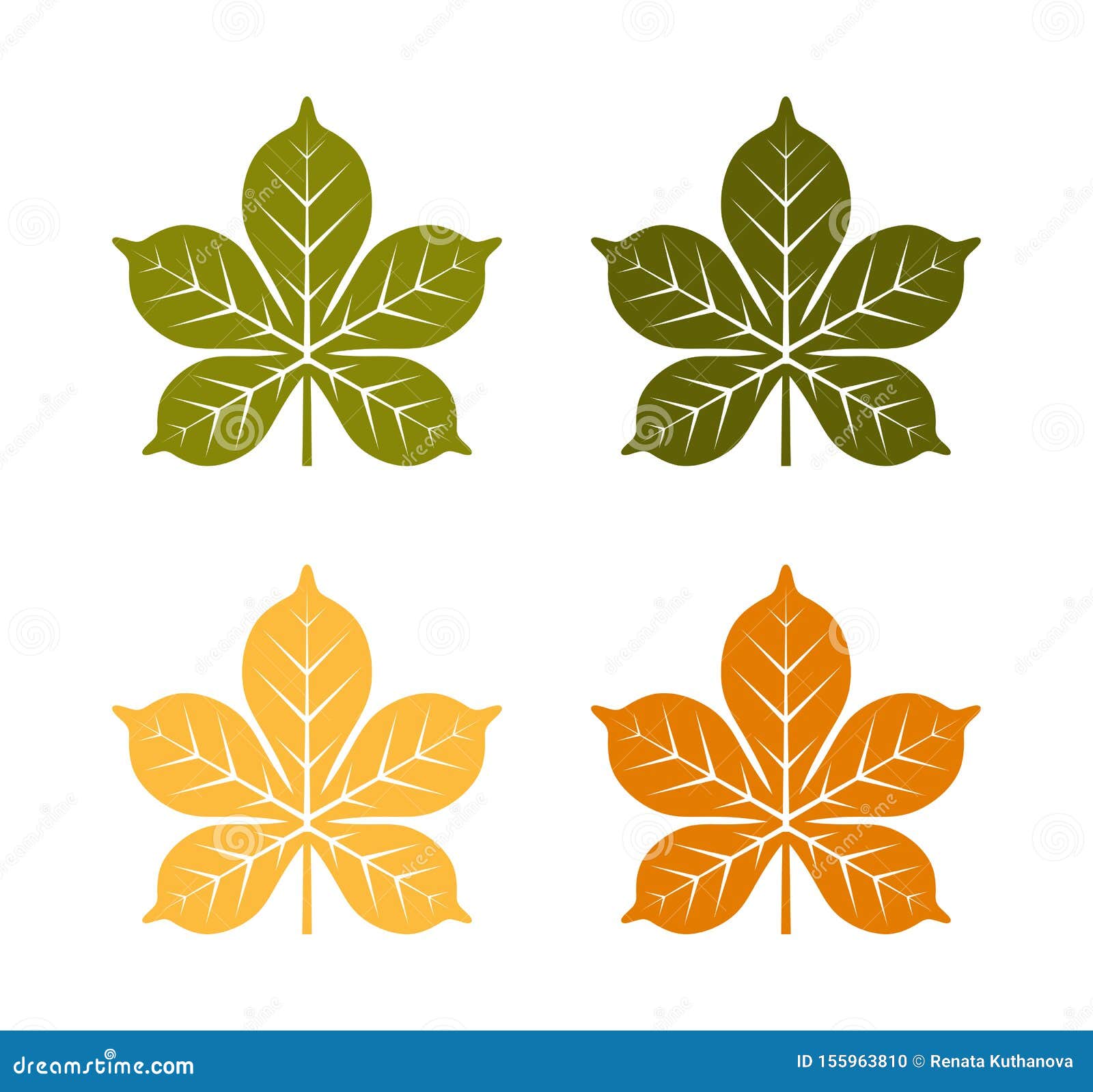 Chestnut Tree Leaves Collection Stock Vector - Illustration of symbol ...