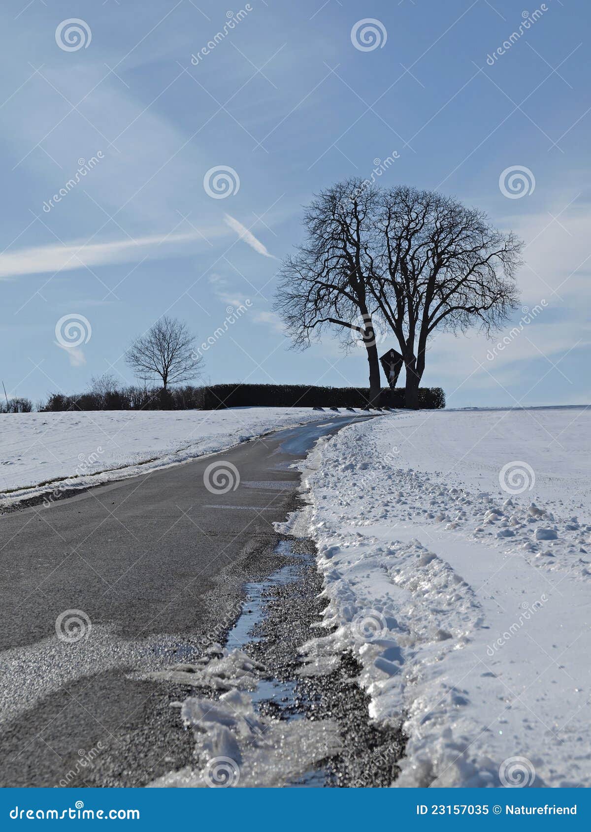 Chestnut Tree in Winter (Aesculus Hippocastanum) Stock Image - Image of ...