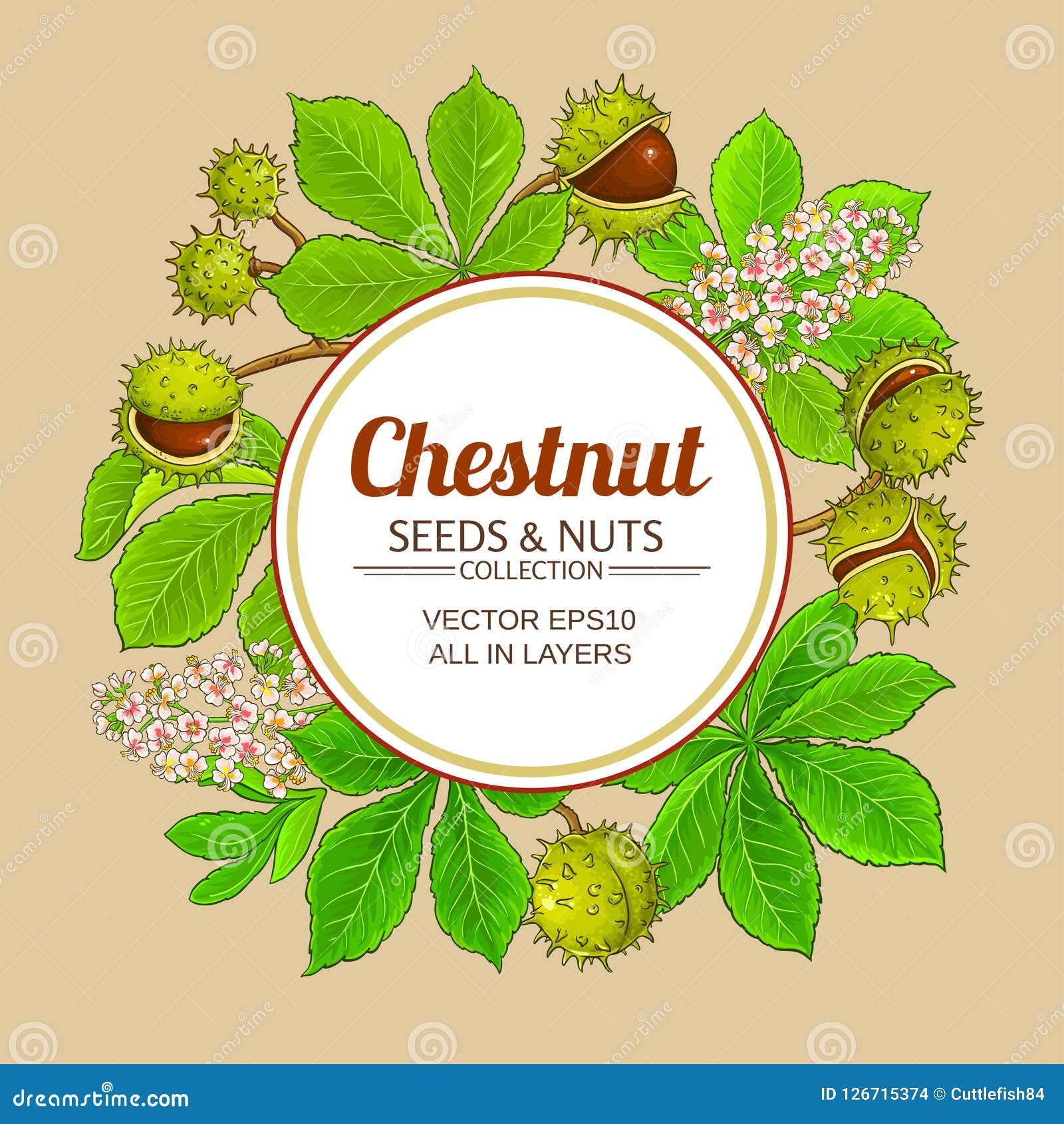 Chestnut Set Of Vector Sketches On White Background.Chestnuts. Set Of ...