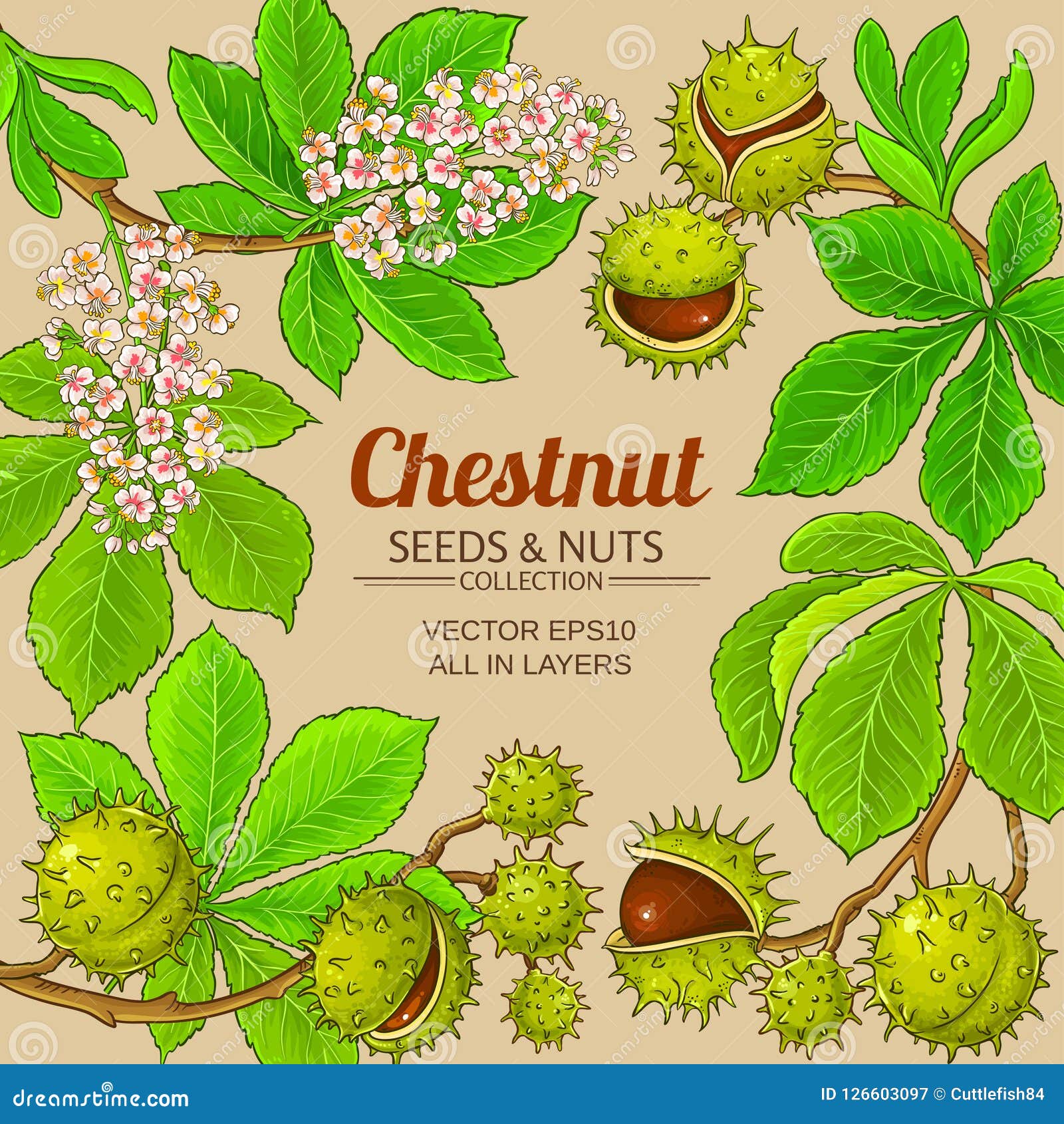 Chestnut Vector Illustration, Isolated Group Of Objects With Chestnut ...