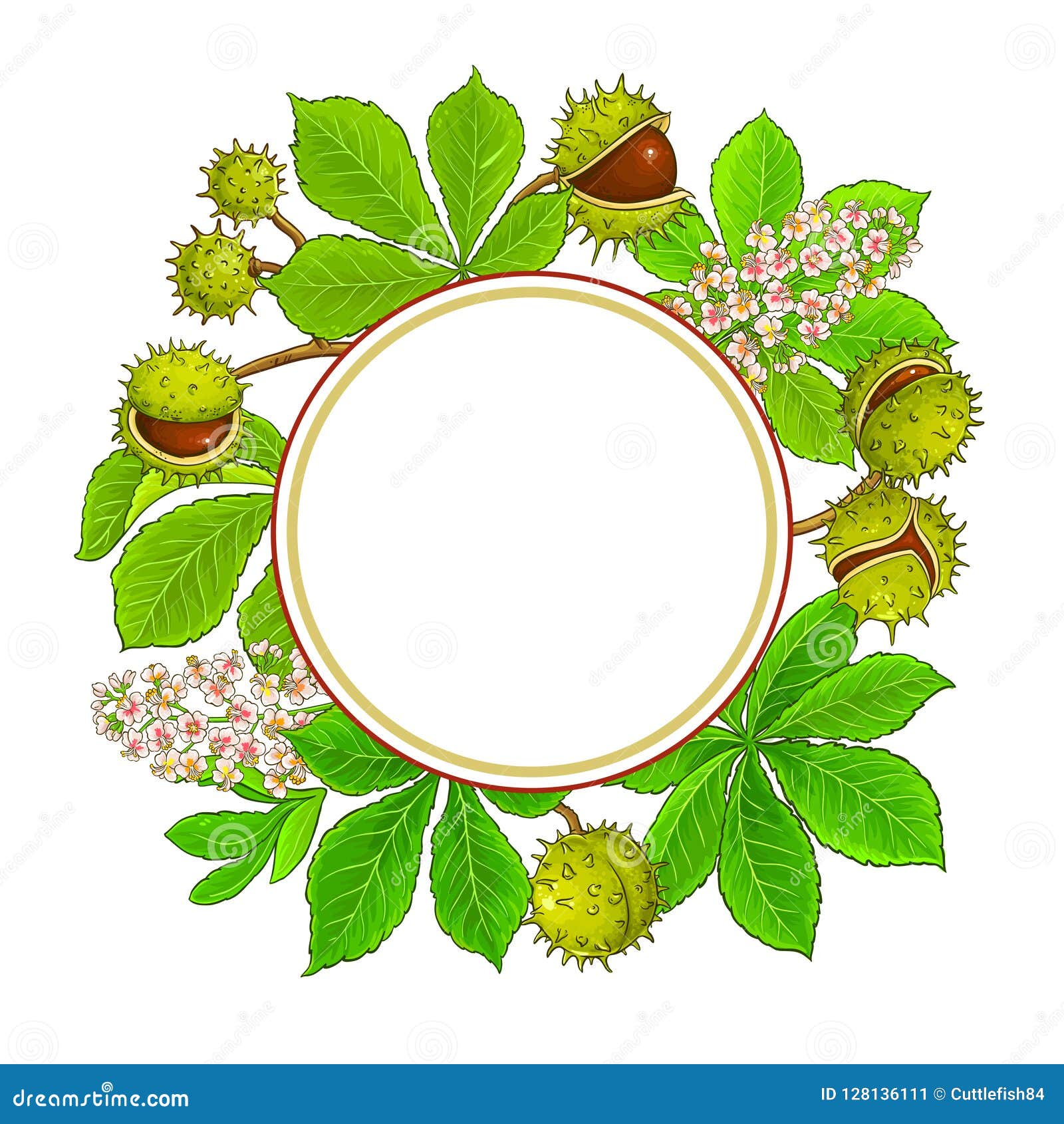 Chestnut Vector Illustration, Isolated Group Of Objects With Chestnut ...