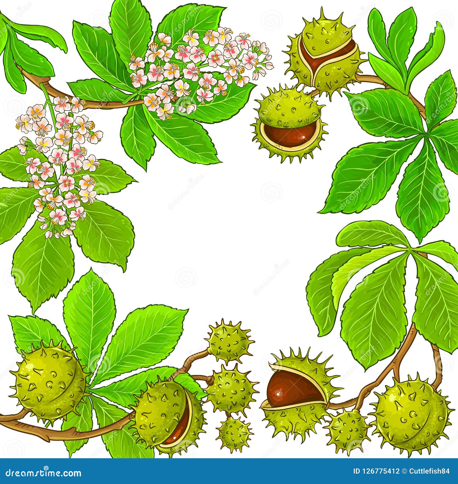 Chestnut Set Of Vector Sketches On White Background.Chestnuts. Set Of ...