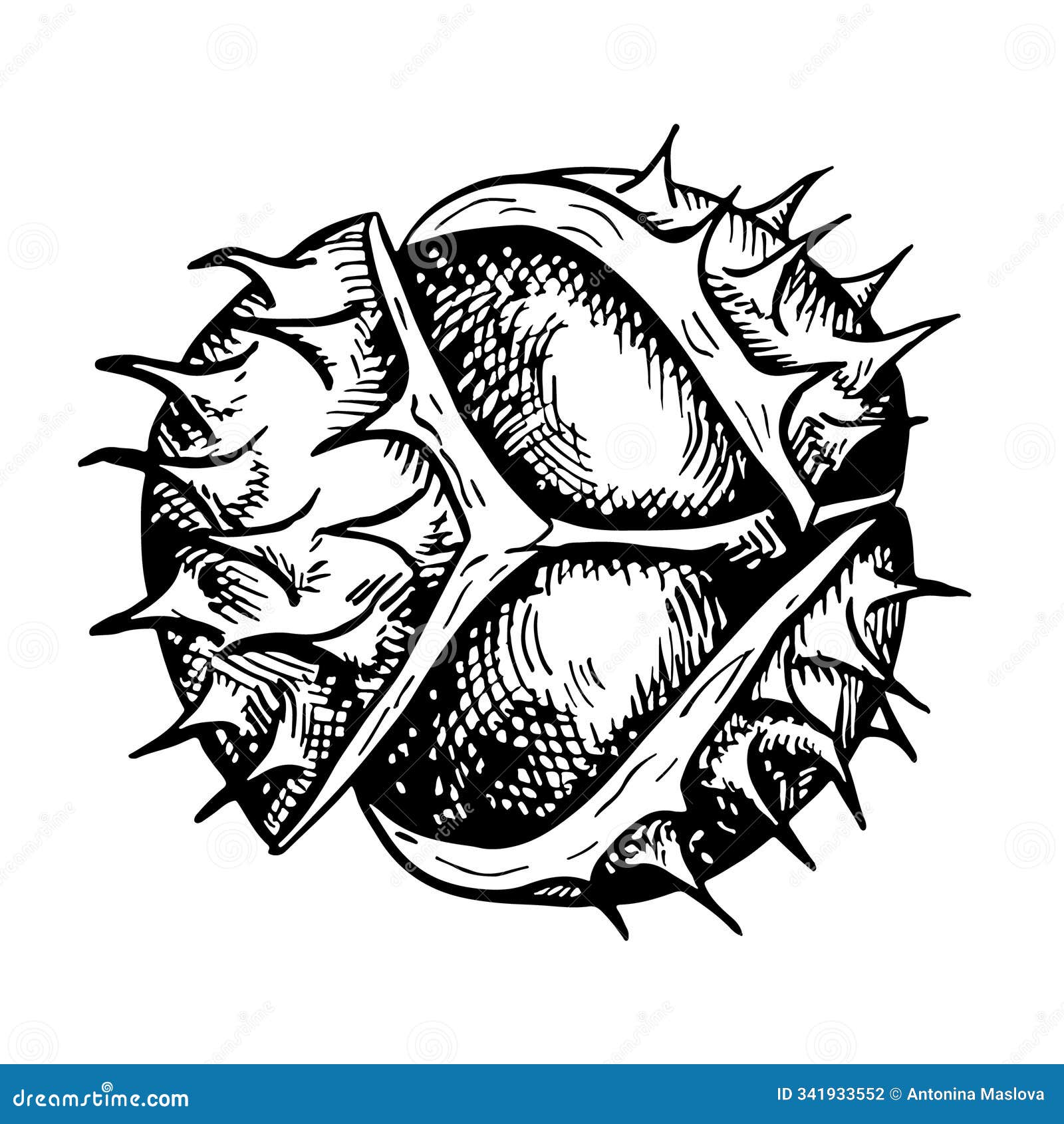 Chestnut. Vector Drawing | CartoonDealer.com #86609287