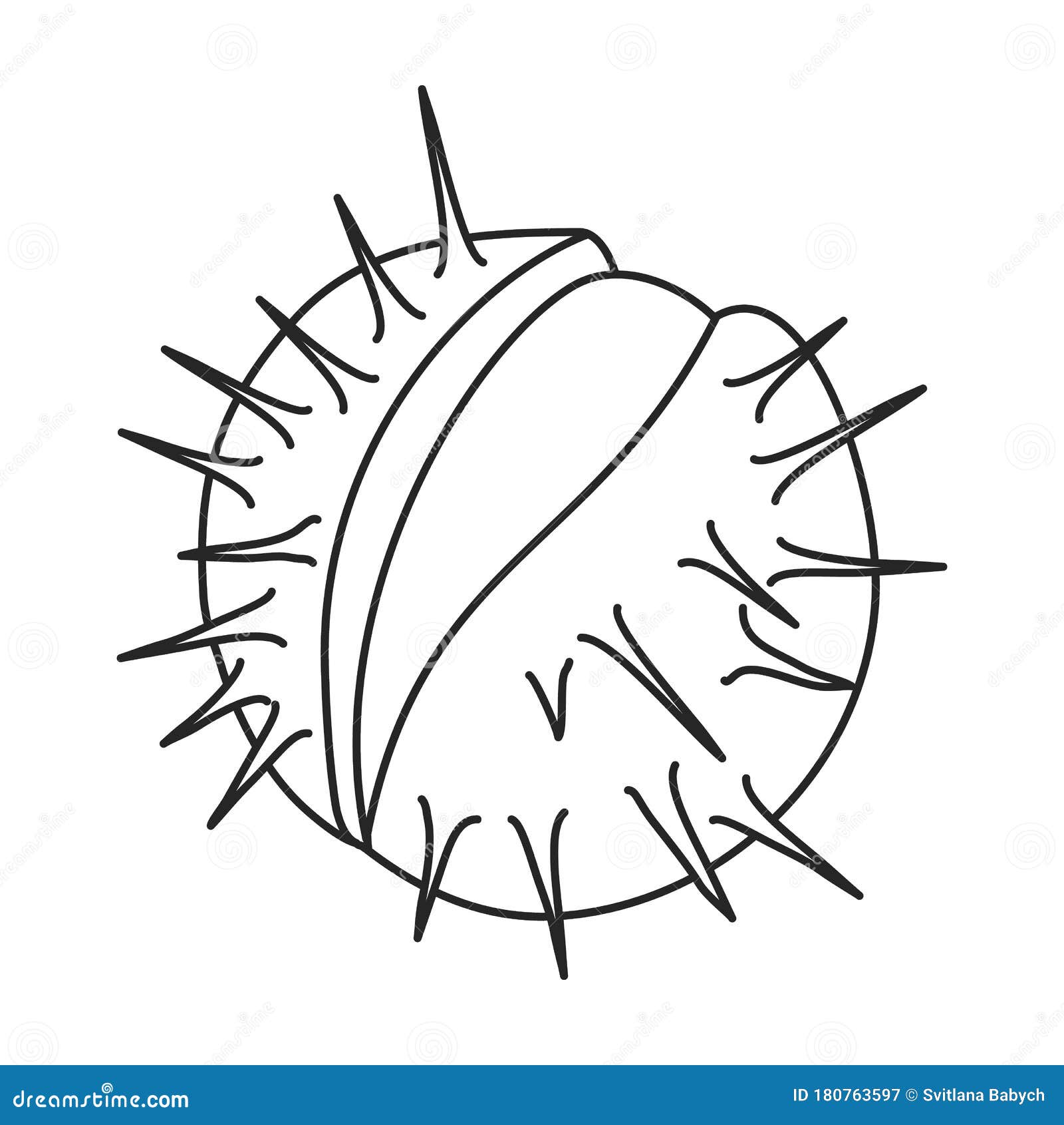 Chestnut Vector Illustration, Isolated Group Of Objects With Chestnut ...