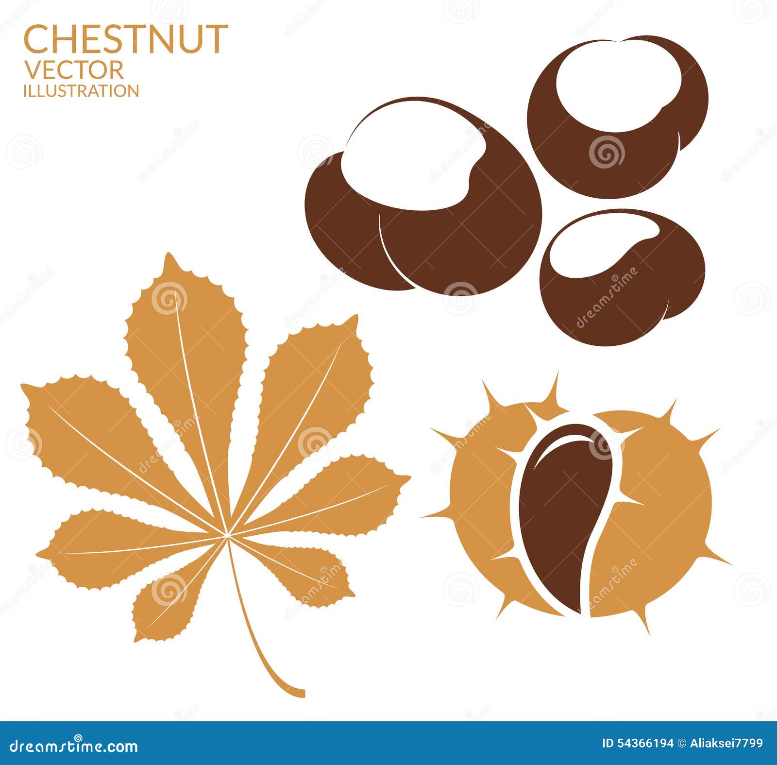 Chestnut stock vector. Illustration of leaf, logo, brown - 54366194