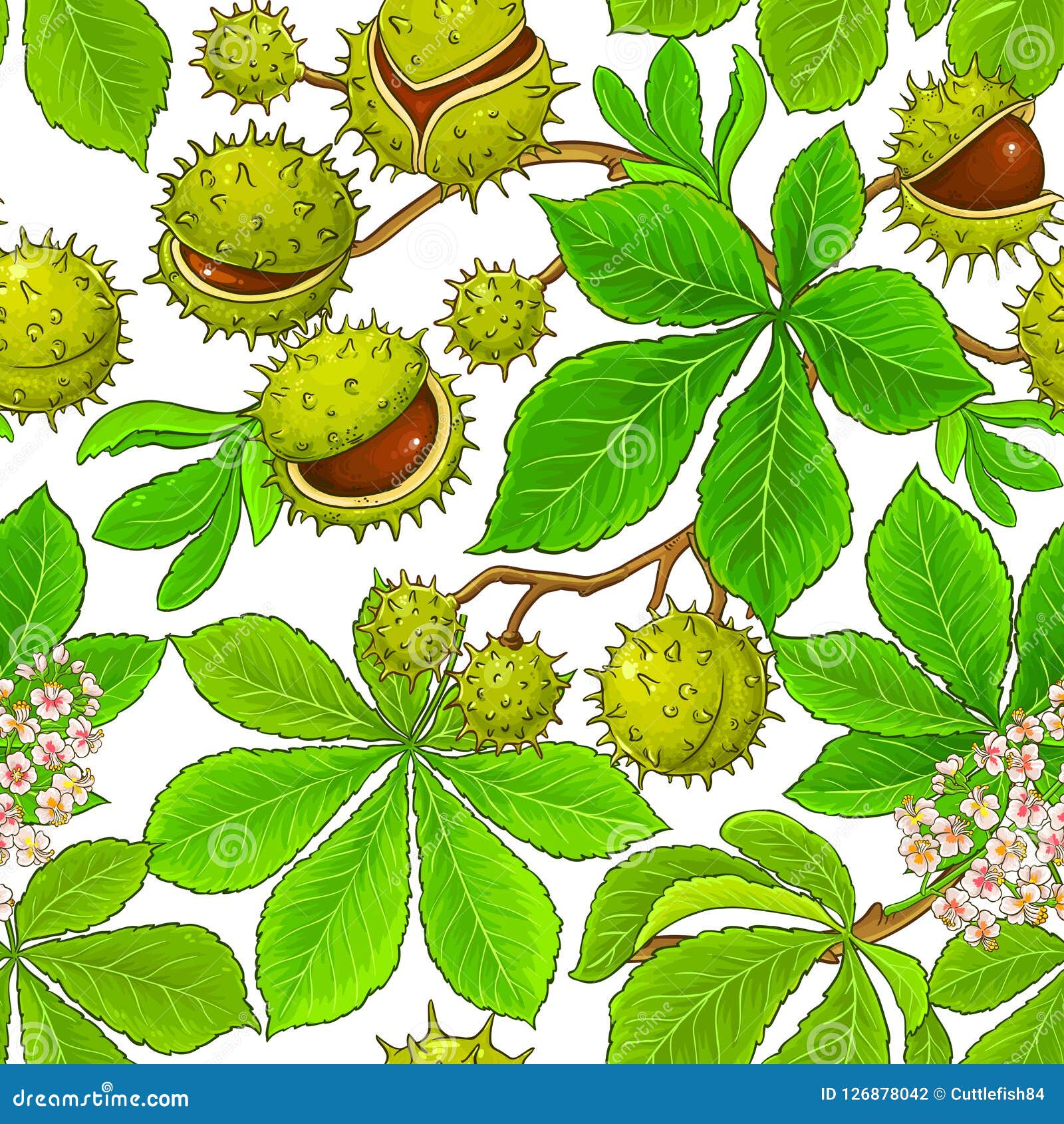 Chestnut Set Of Vector Sketches On White Background.Chestnuts. Set Of ...