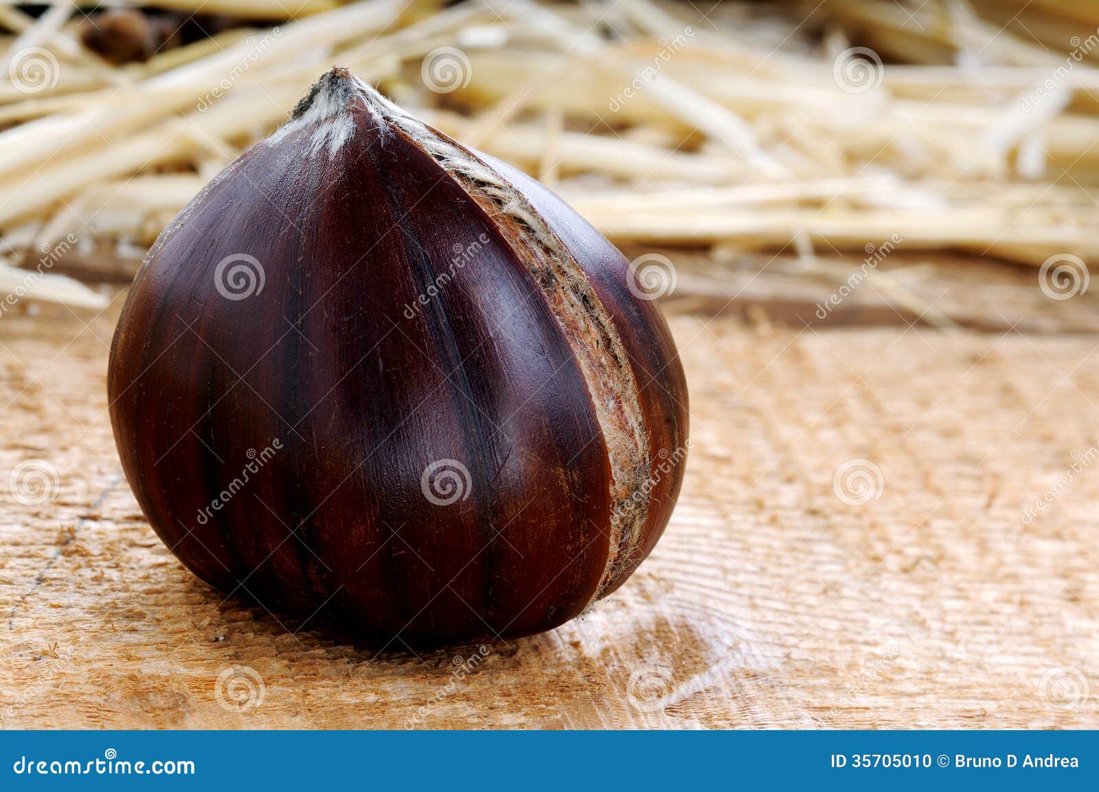 Chestnut on wood stock photo. Image of chestnut, season - 35705010