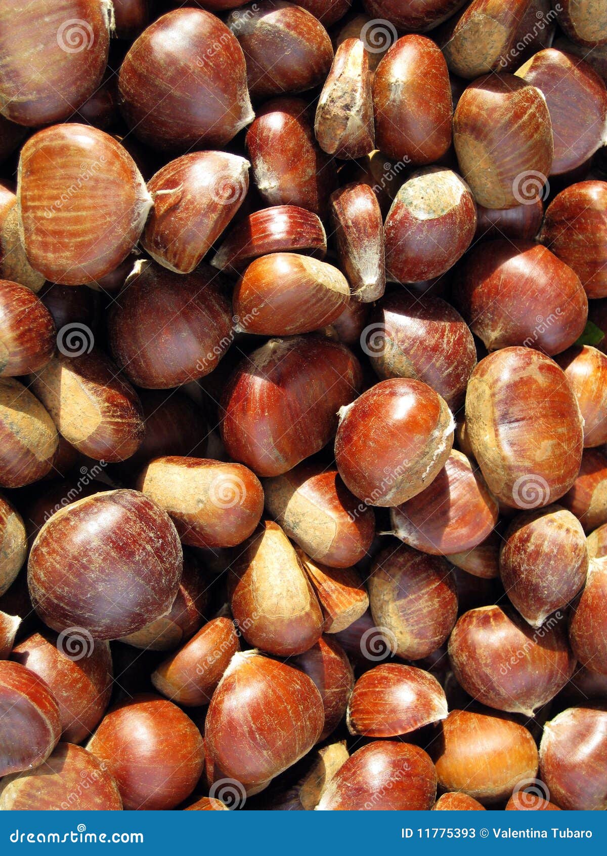 Chestnuts stock image. Image of trace, snack, brown, food - 11775393