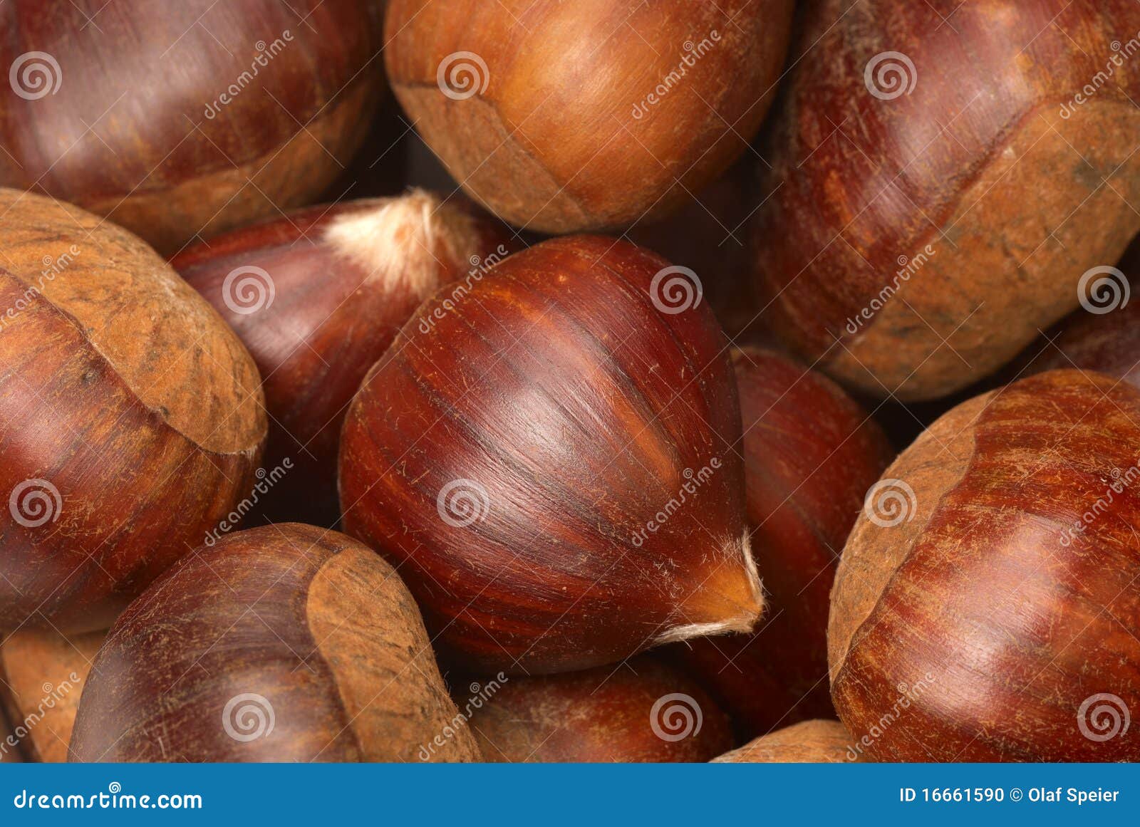 Chestnuts stock photo. Image of natural, chestnuts, closeup - 16661590