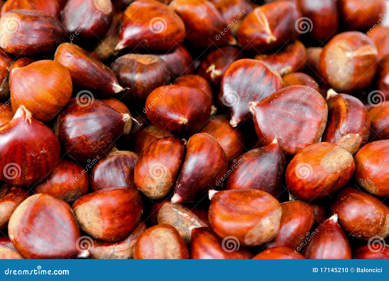 Chestnuts stock photo. Image of food, snack, chestnuts - 17145210