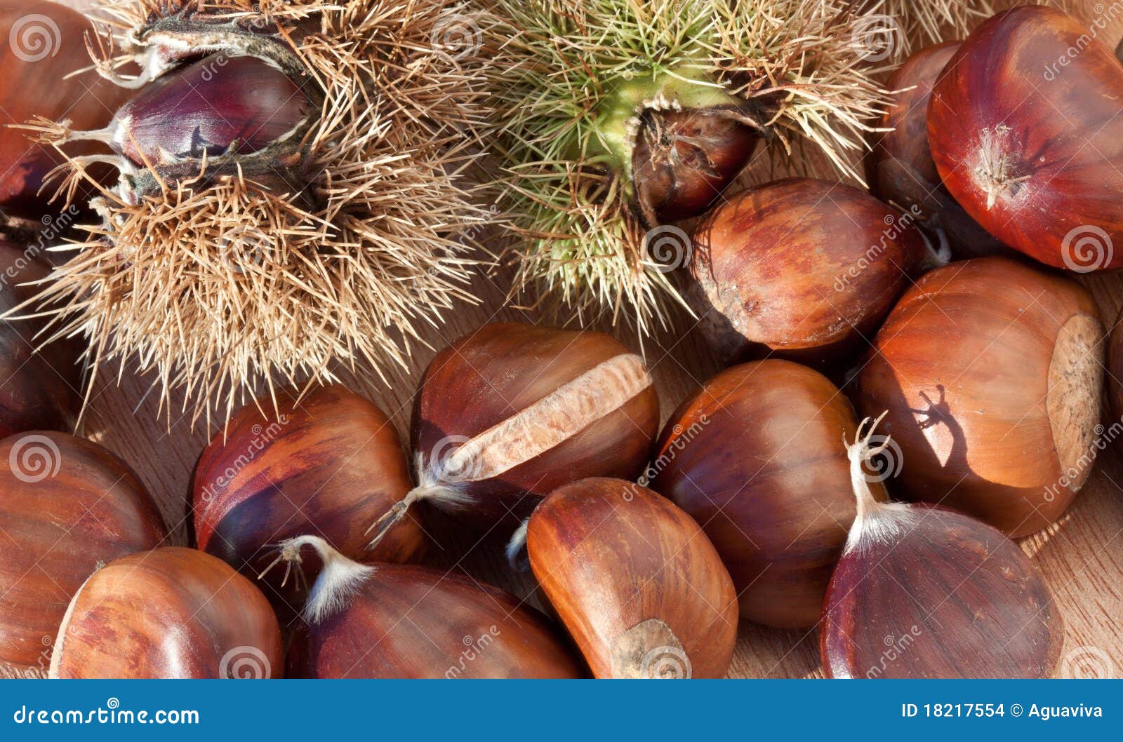 Chestnuts stock photo. Image of nature, fall, season - 18217554