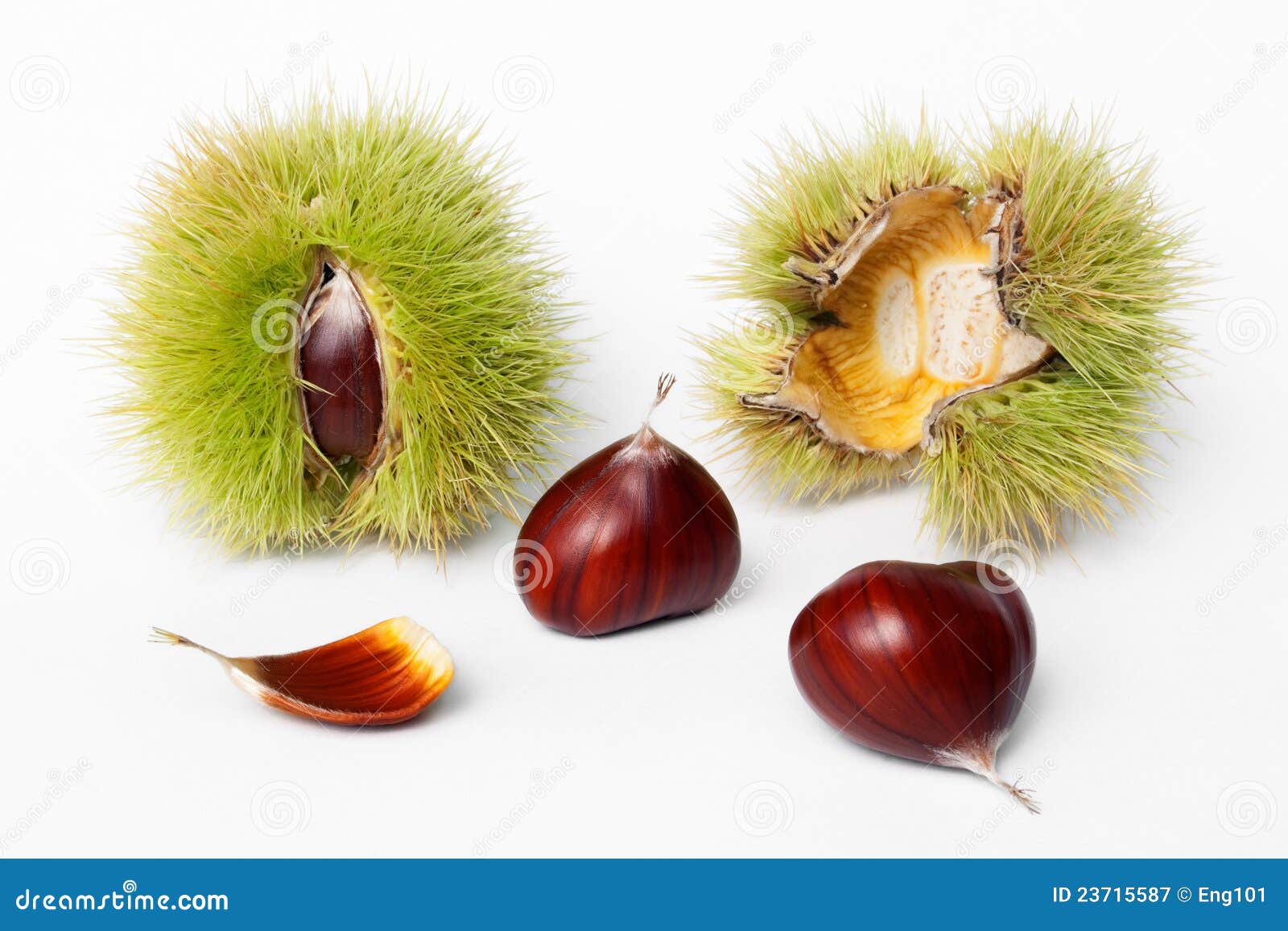 Chestnuts stock image. Image of fall, harvest, marroni - 23715587