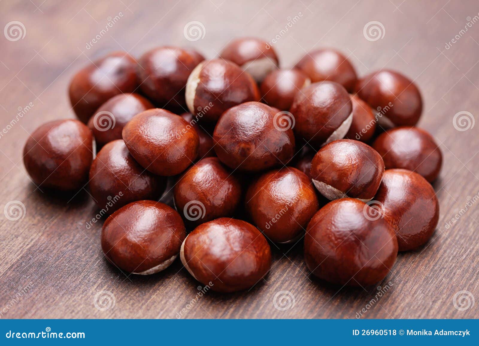 Chestnuts stock photo. Image of autumn, barb, fall, chestnut - 26960518