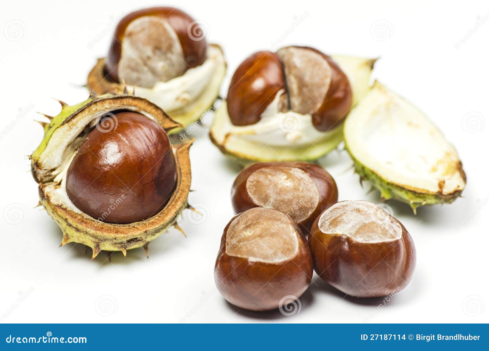 Chestnuts stock photo. Image of nature, background, fall - 27187114