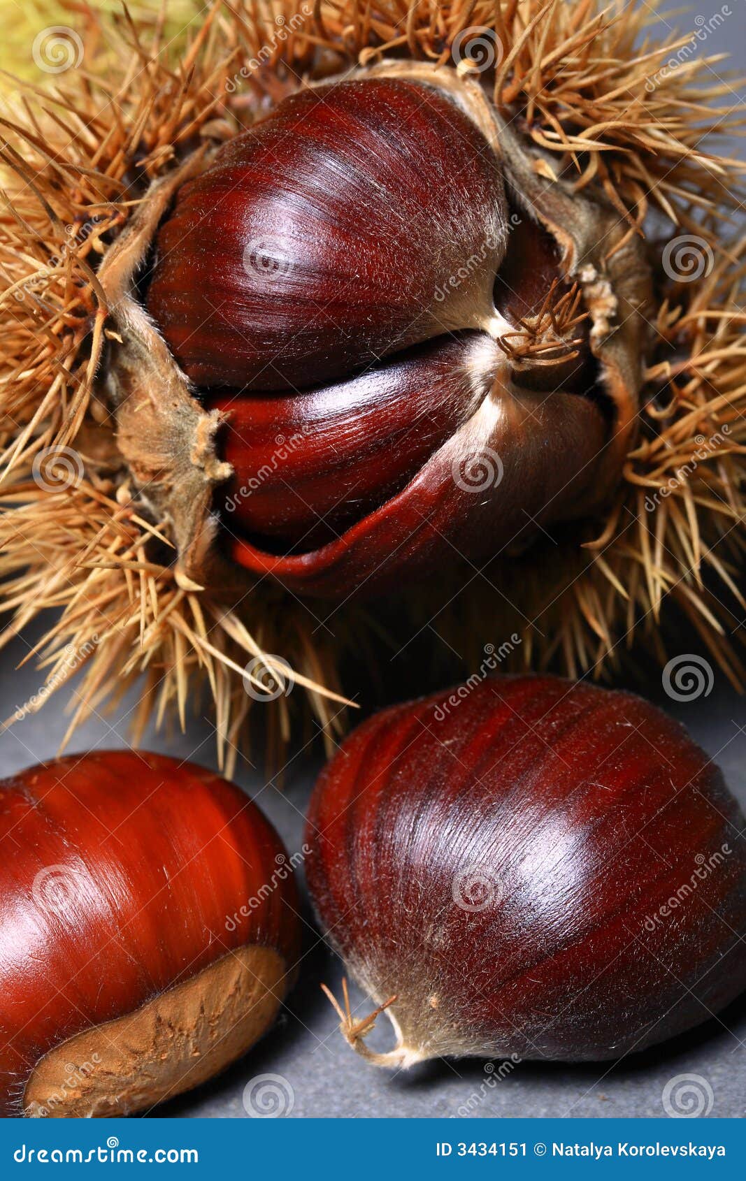 Chestnuts stock image. Image of france, tradition, rustic - 3434151
