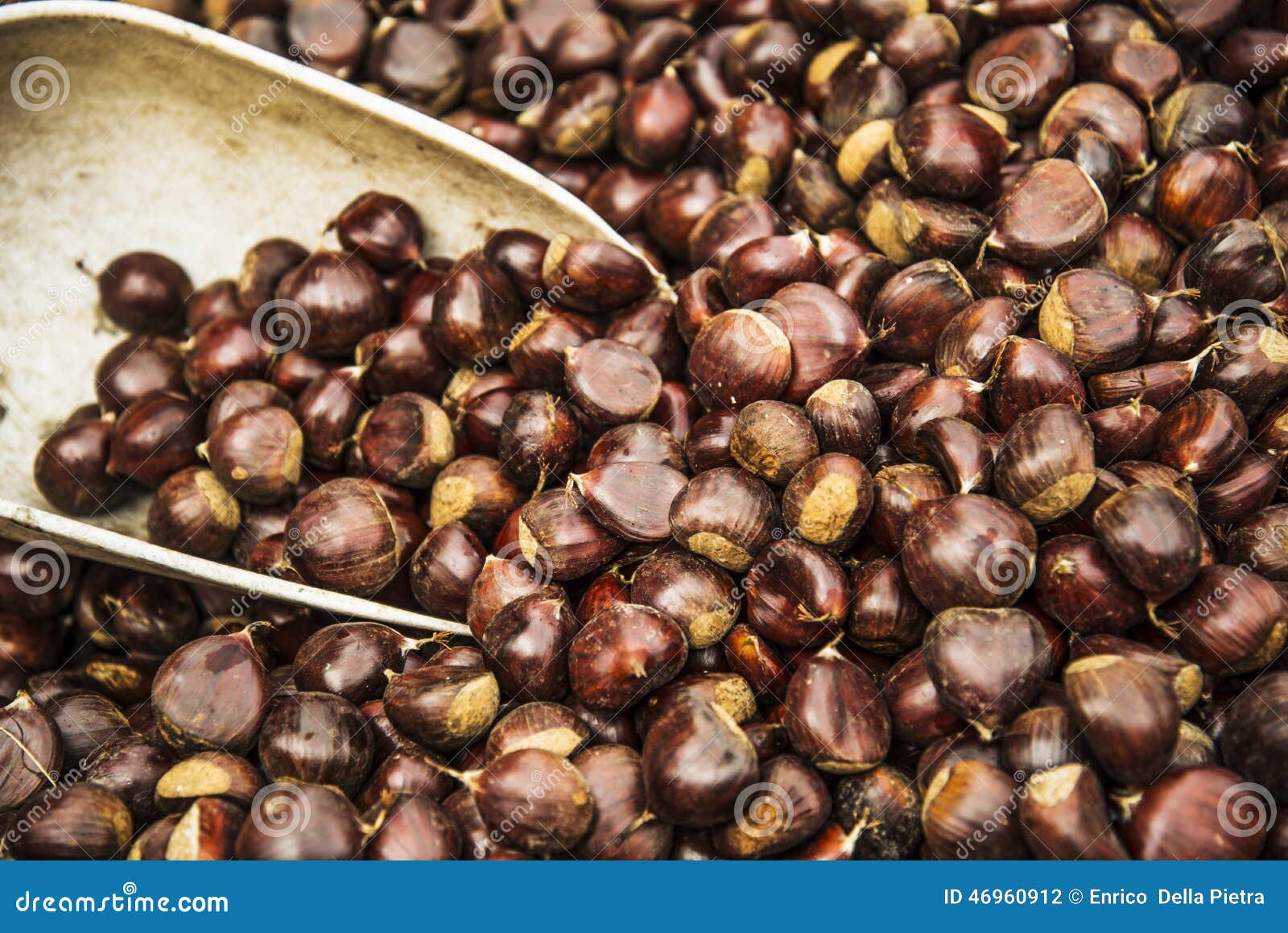 Chestnuts stock photo. Image of close, chestnut, seasonal - 46960912