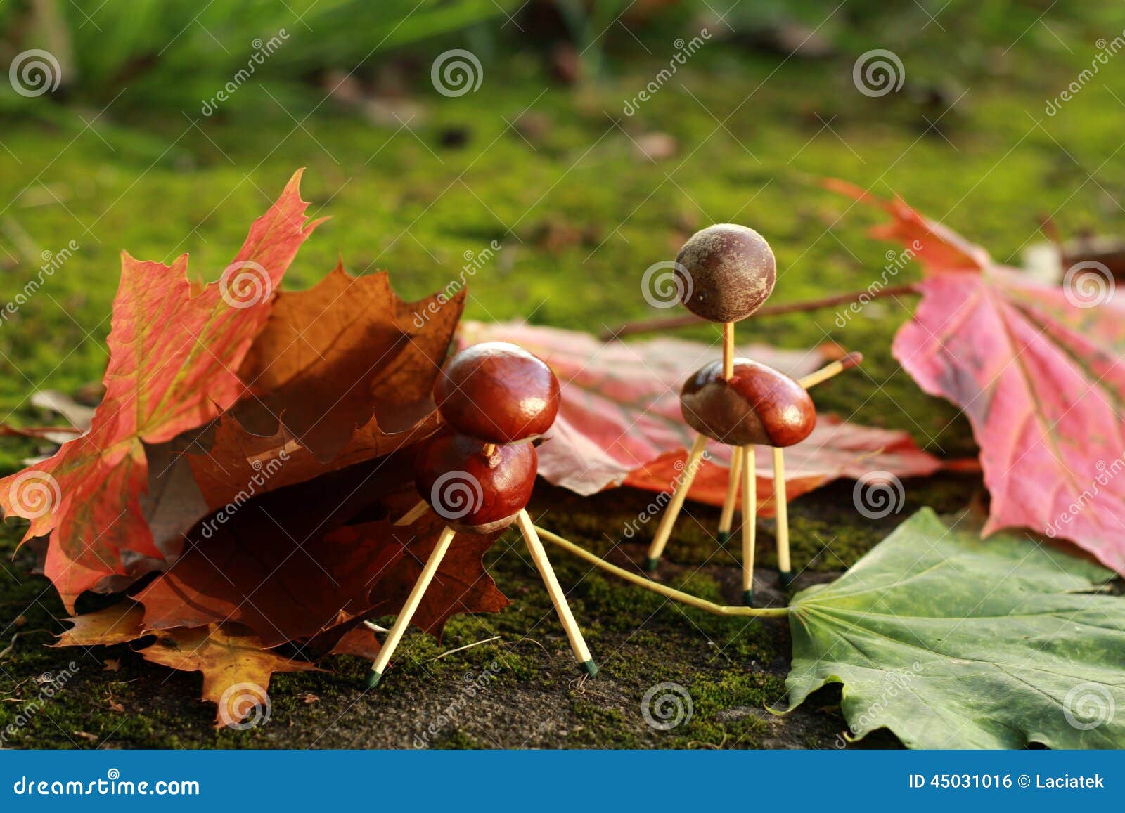 Chestnuts animals stock photo. Image of pleasure, season - 45031016