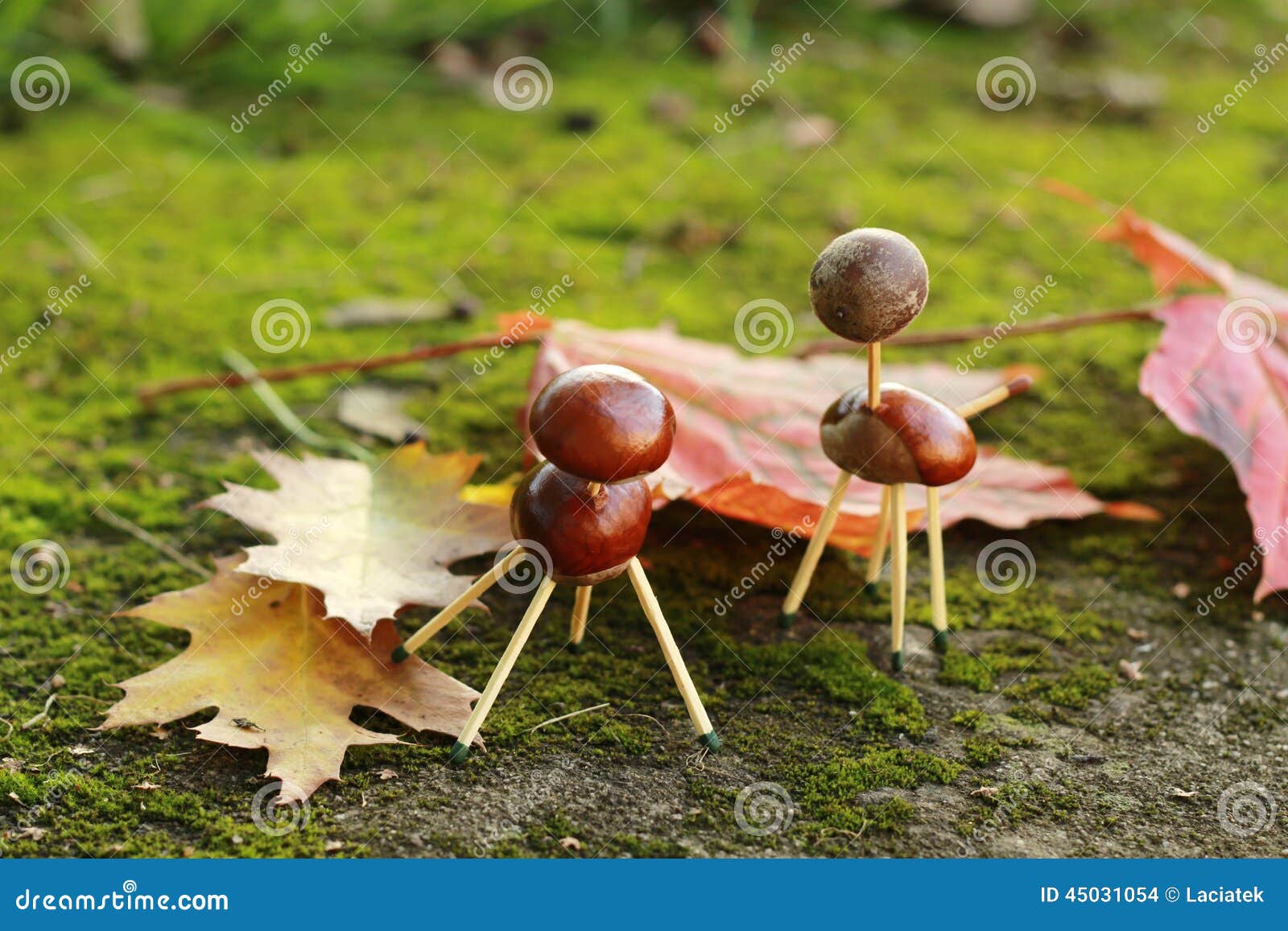 Chestnuts animals stock photo. Image of recreation, ornament - 45031054