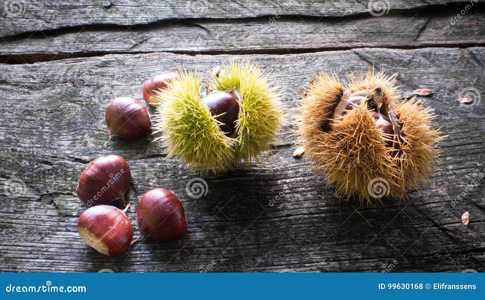 Chestnuts in autumn stock photo. Image of table, seasonal - 99630168