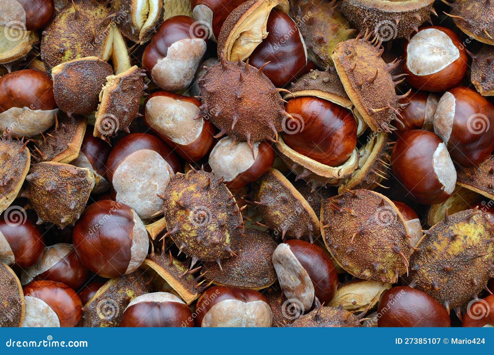 Chestnuts background stock image. Image of background - 27385107