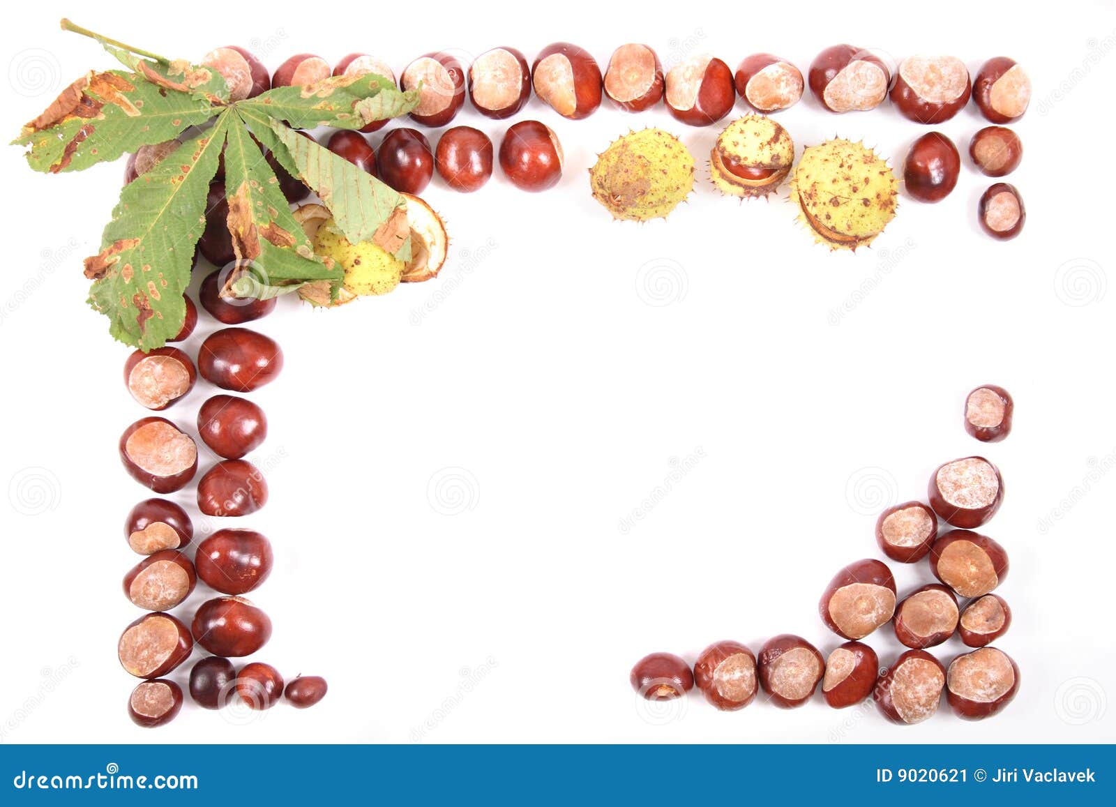 Chestnuts background stock image. Image of spiked, conker - 9020621