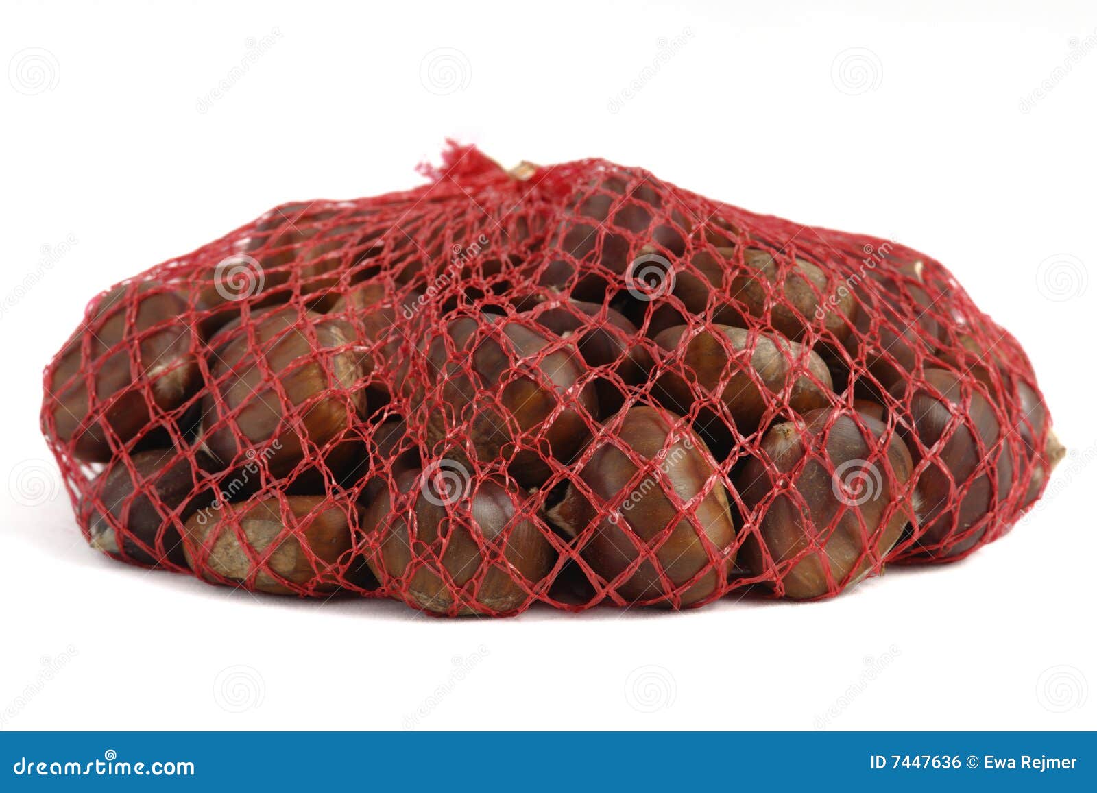 Chestnuts in bag stock photo. Image of garden, fall, nature - 7447636