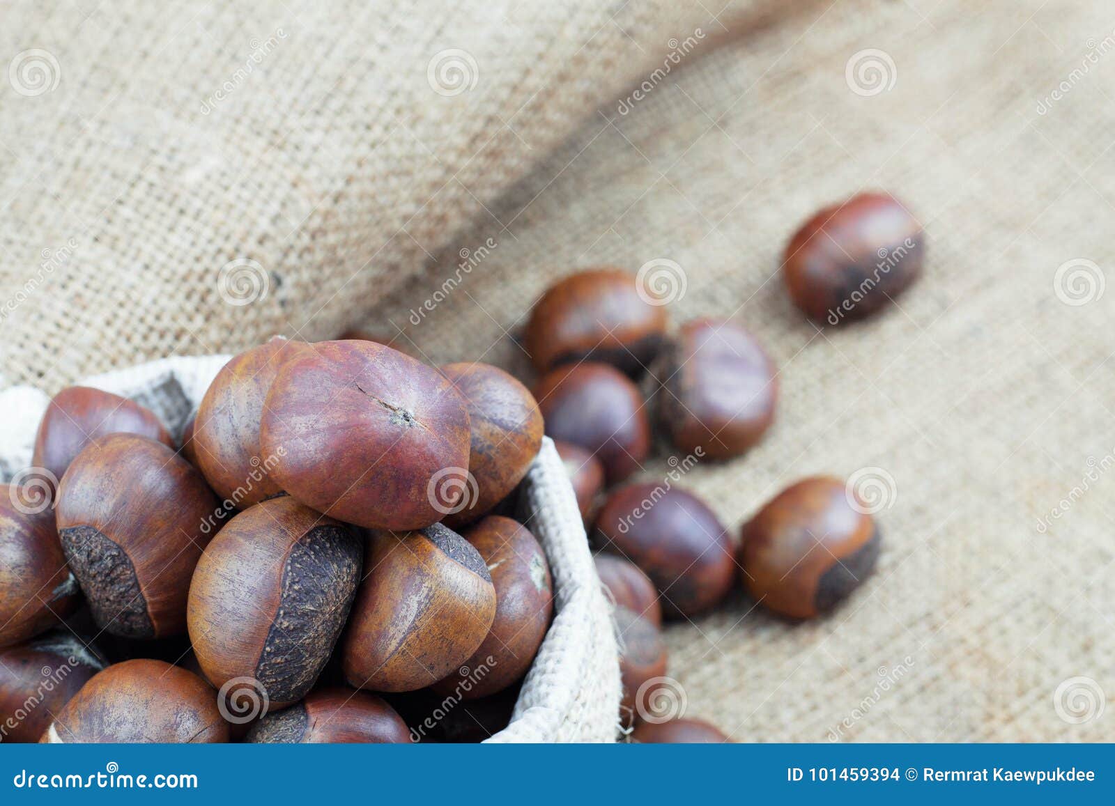 Chestnuts in a bag. stock photo. Image of food, antioxidant - 101459394