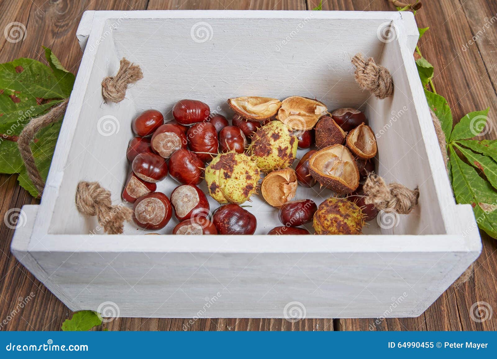 Chestnuts in a Box on a Table Stock Image - Image of white, chestnut ...